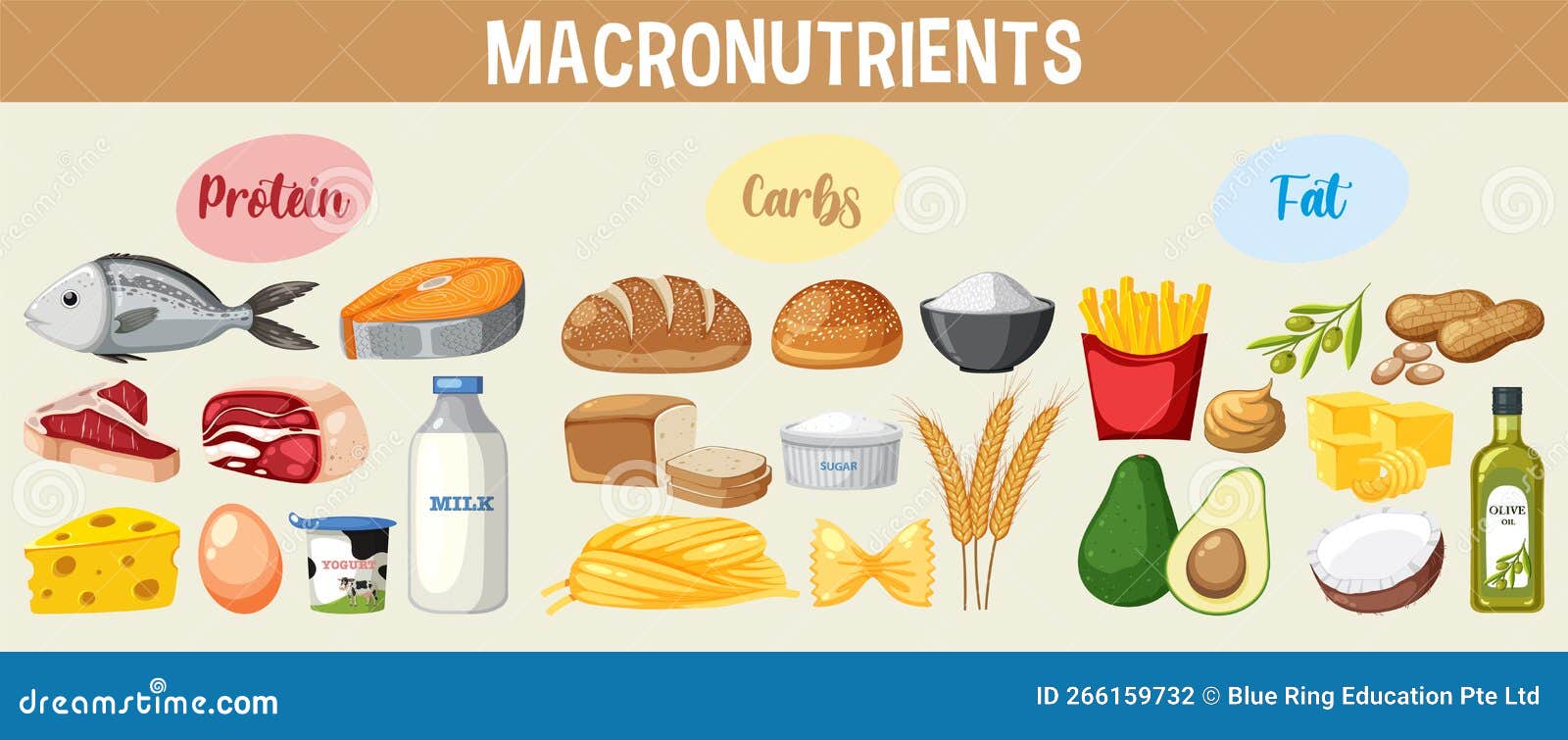 Macronutrients Collection With Grocery Food Nutrients In Outline ...