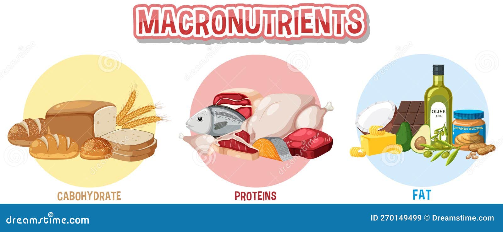 Main Food Groups - Macronutrients. Carbohydrates, Fats And Proteins In ...