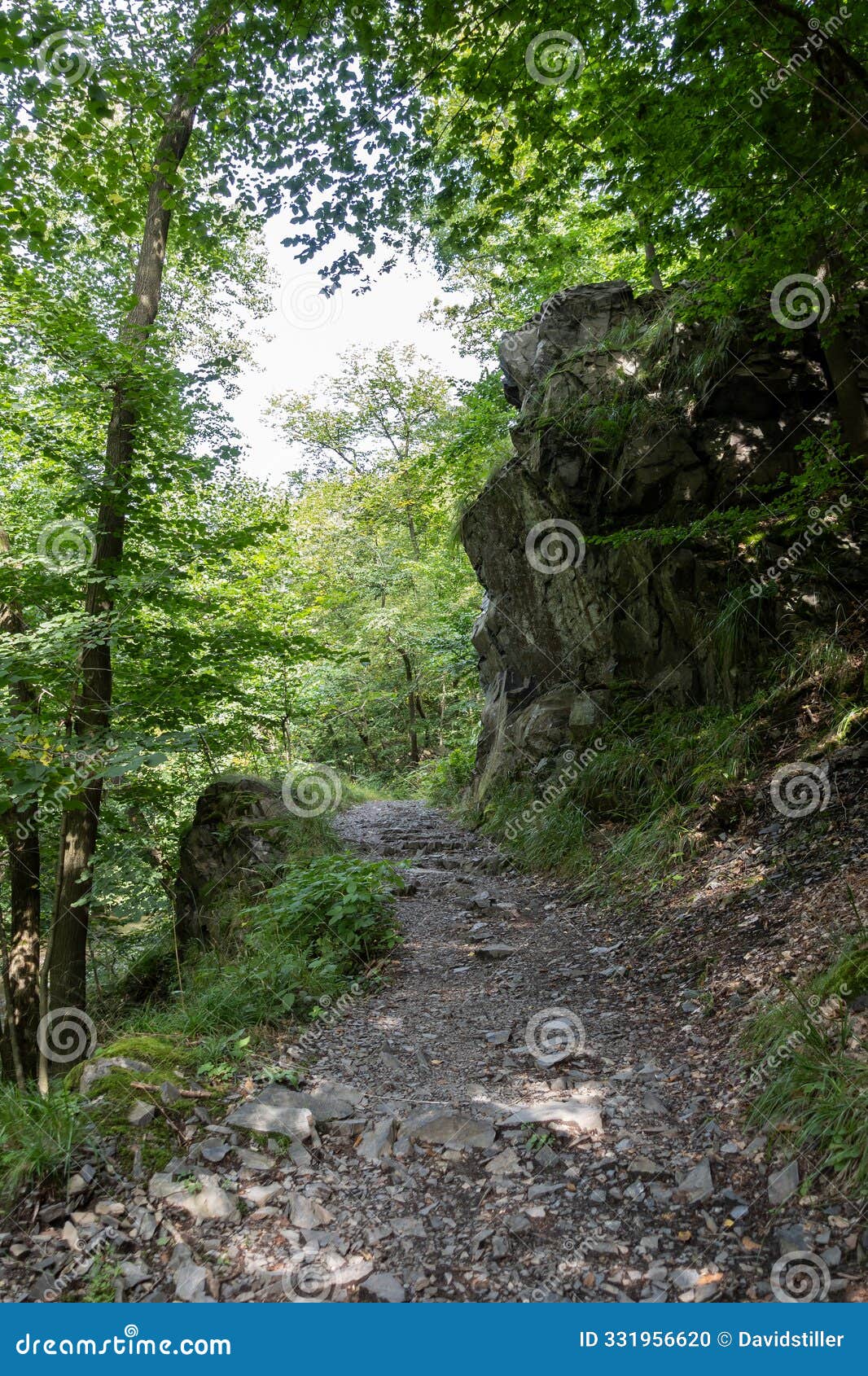 Main Footpath in the Bode Gorge - Bodetal in German Language - in the ...