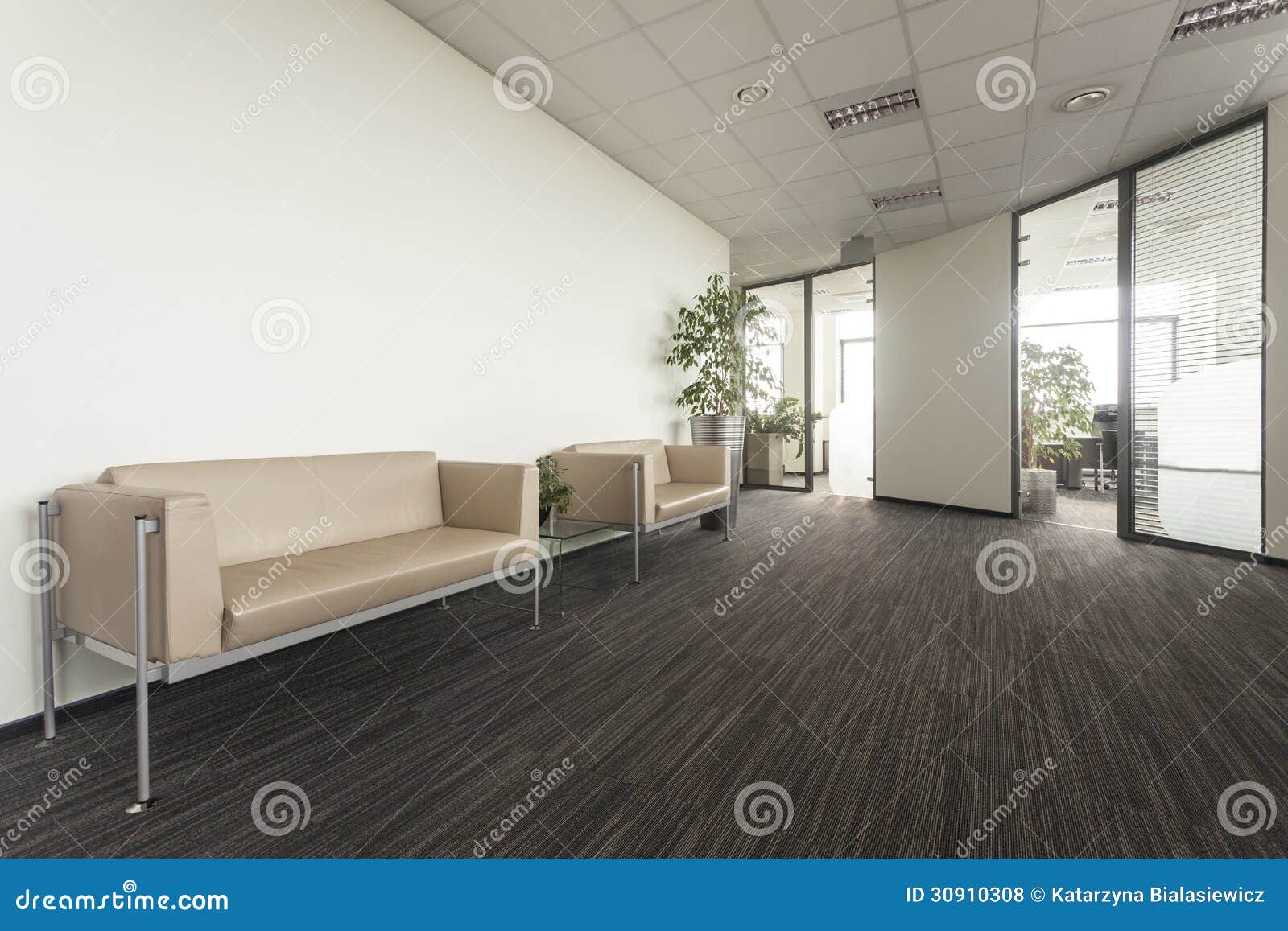 Main hall stock photo. Image of modern, company, elegance - 30910308