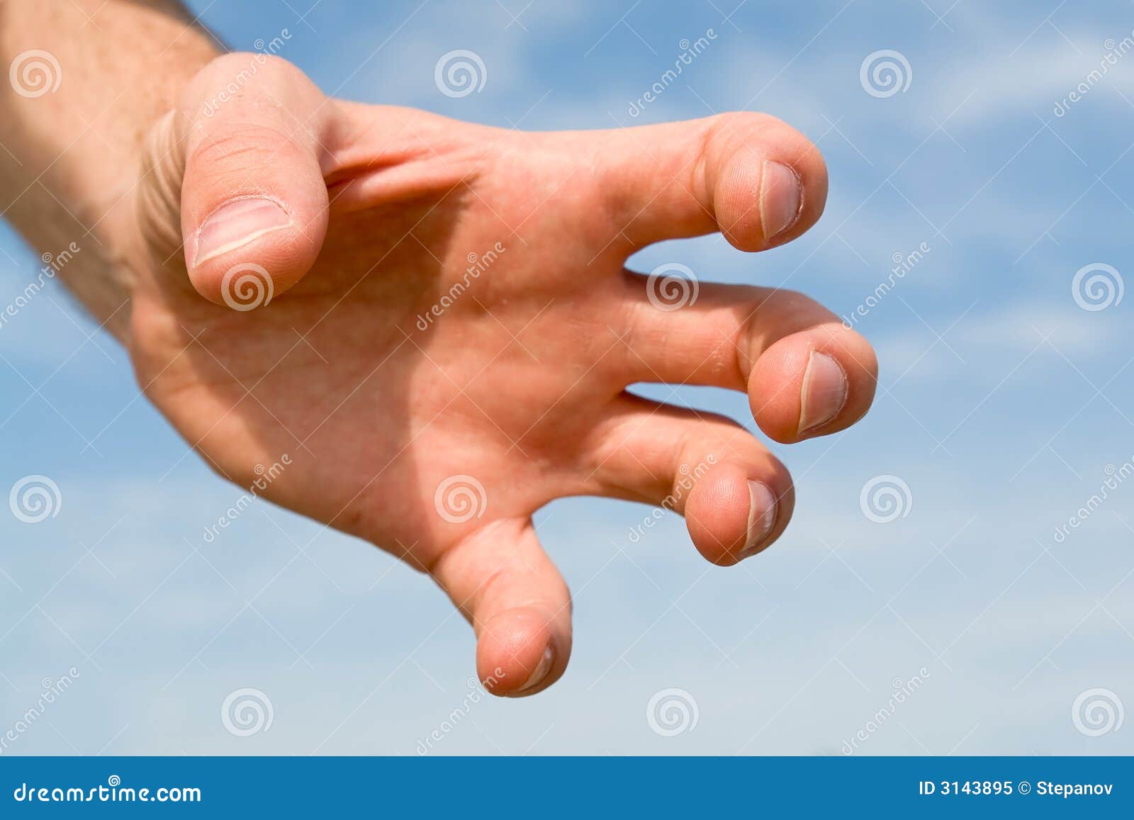 Main humaine image stock. Image du paume, main, humain - 3143895