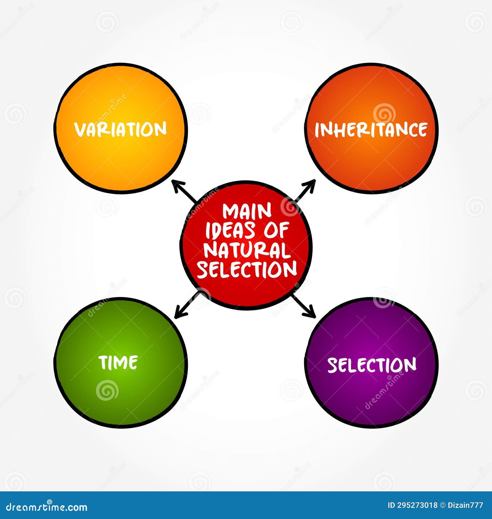 Main Ideas of Natural Selection - Differential Survival and ...