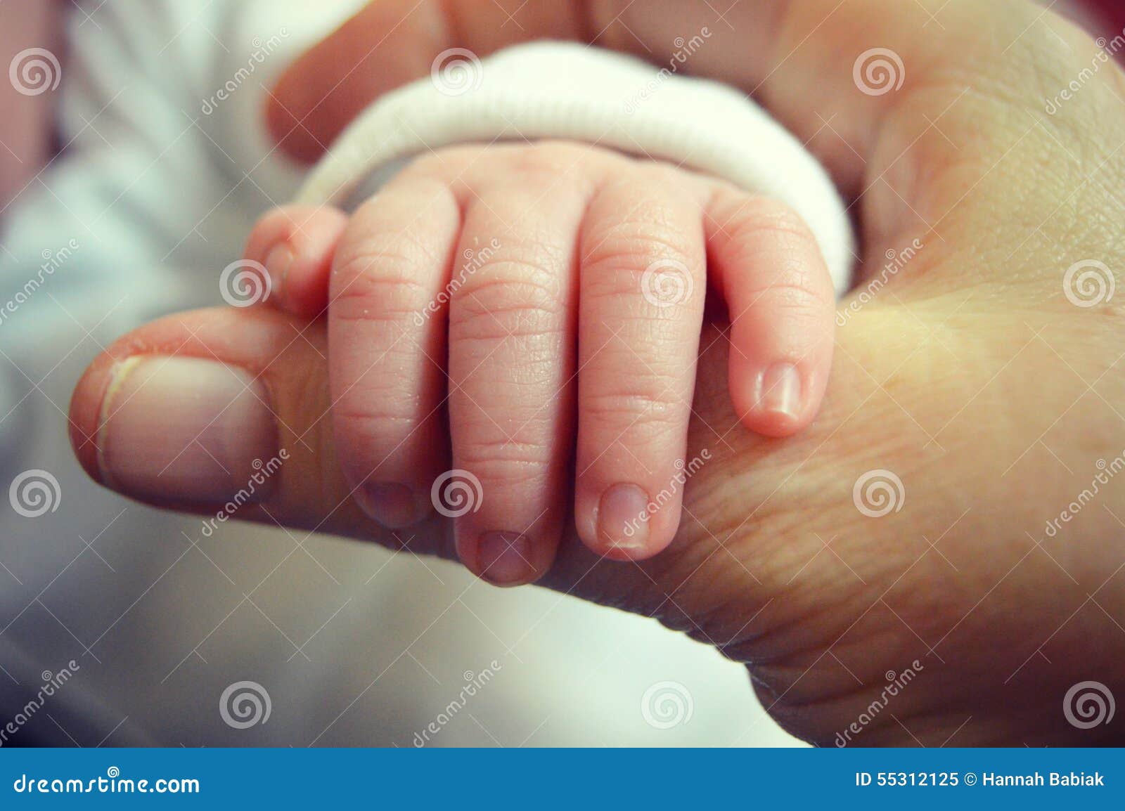 500,316 Nourrisson Photos libres de droits et gratuites de Dreamstime