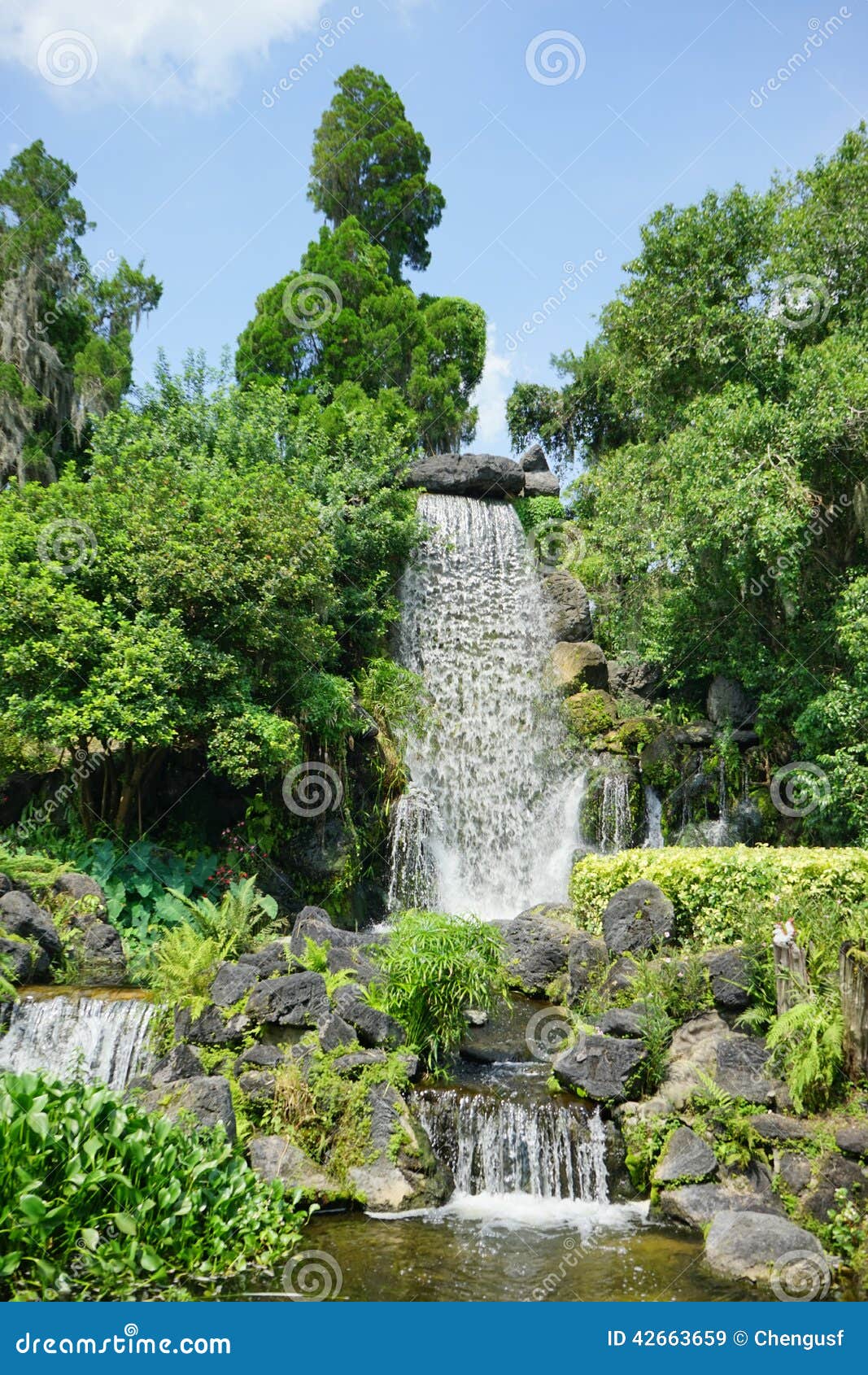 Man made Waterfall stock image. Image of foliage, life - 42663659