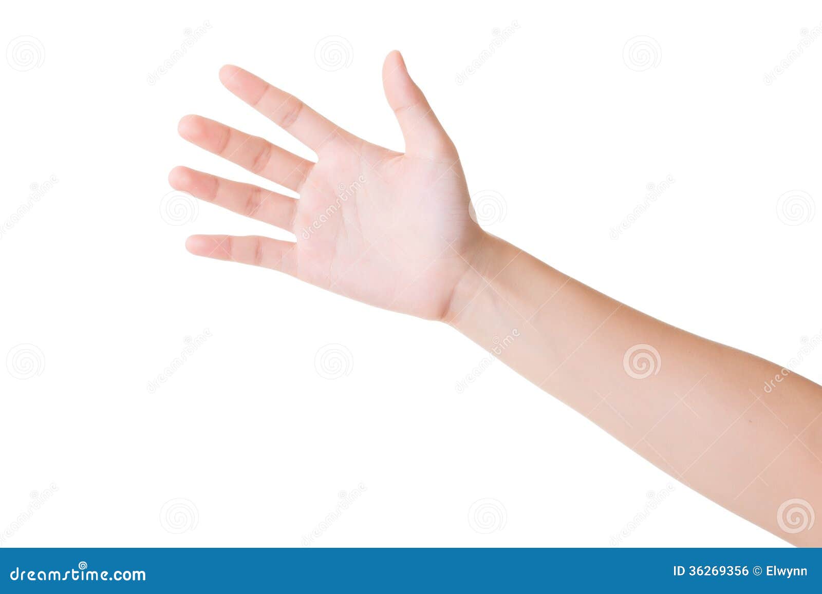 Main montrant cinq doigts photo stock. Image du idée - 36269356