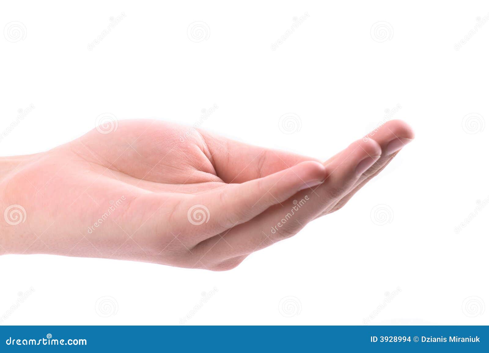 Main, paume ouverte photo stock. Image du peau, garantie - 3928994