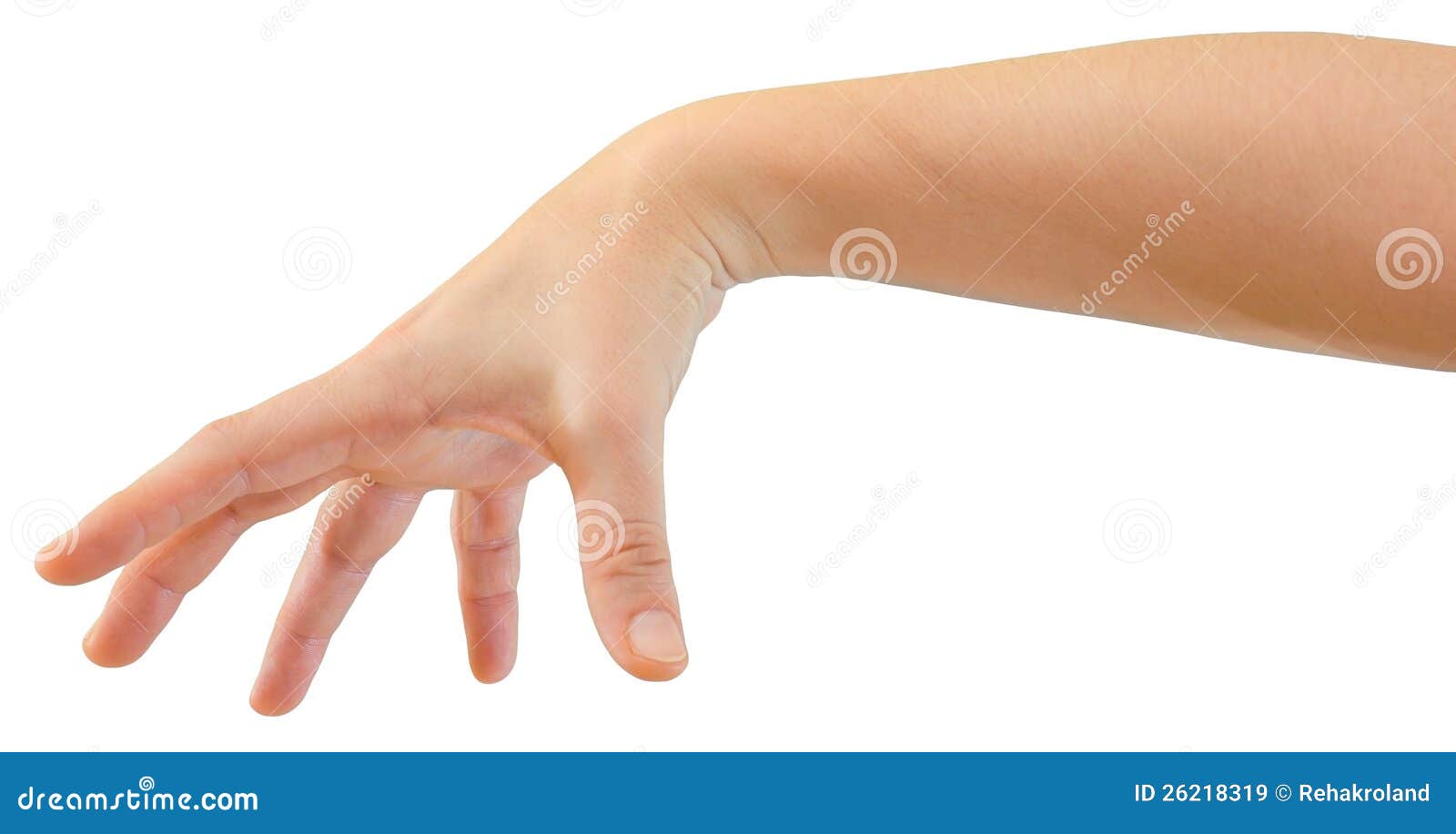 Main Pour Retenir Ou Relâcher L'objet Image stock - Image du caucasien ...