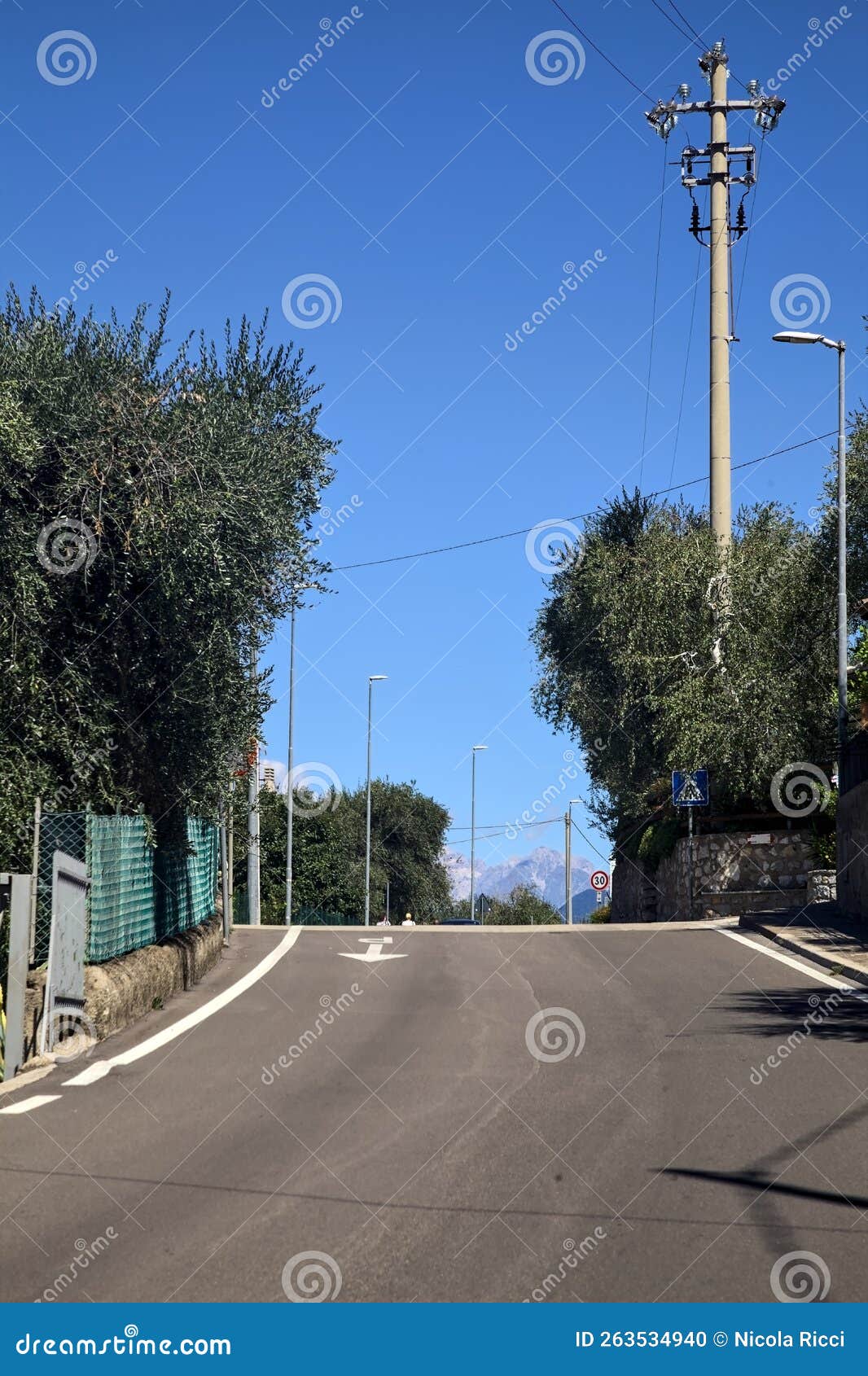 Main Road Bordered by Olive Tree Plantations Stock Photo - Image of ...