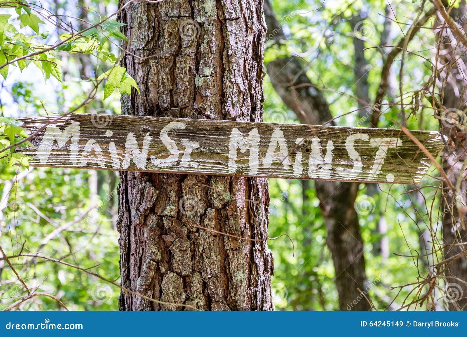 Main Street on Pine Tree stock image. Image of forest - 64245149