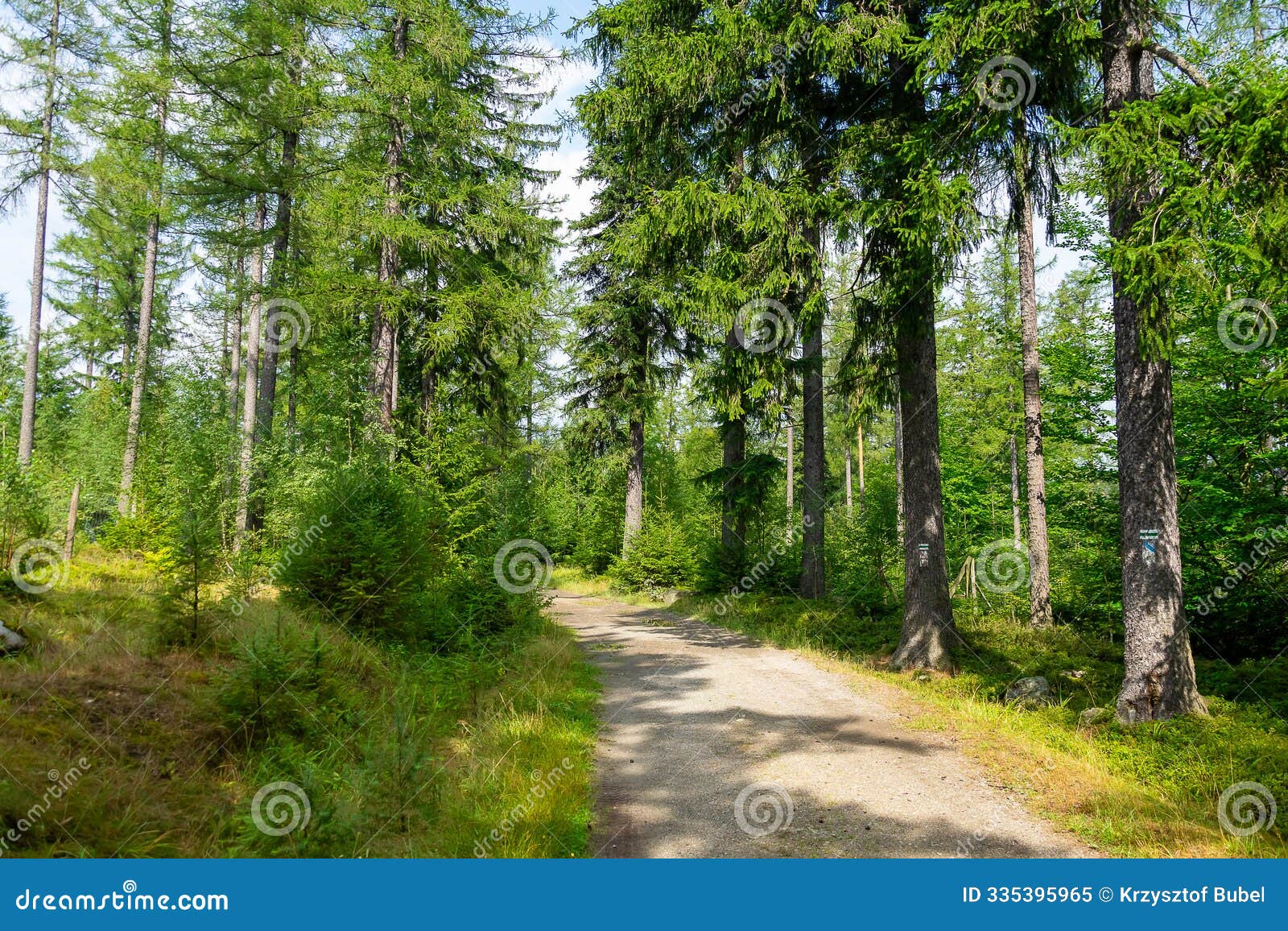 The Main Sudetes Trail Leading To Sniezka Stock Image - Image of ...