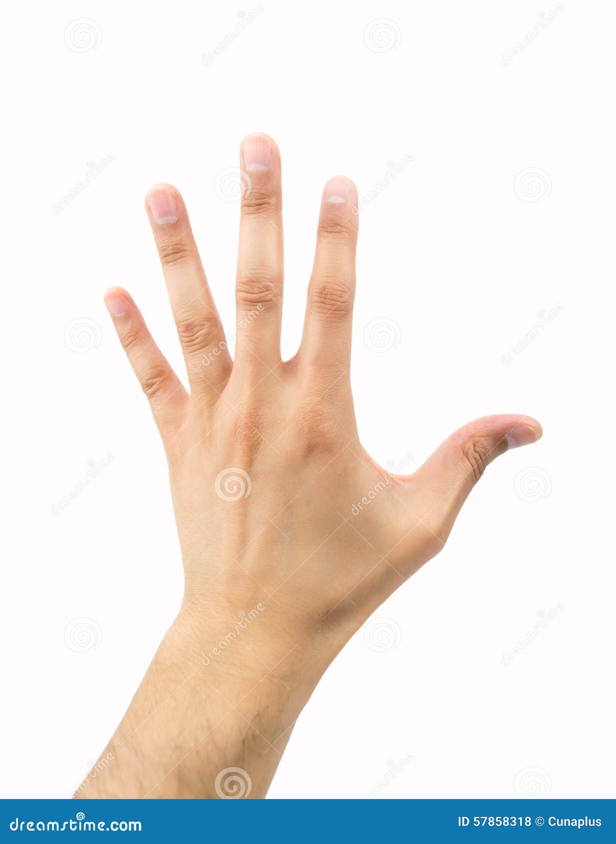 Main tendue photo stock. Image du expression, combat - 57858318