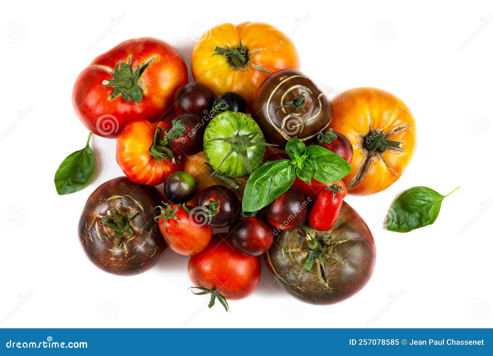 Main Varieties of Old Tomatoes Stock Image - Image of fond, noches ...