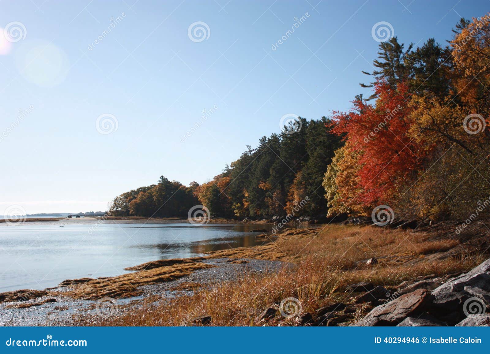 Maine coast in fall stock photo. Image of fall, orange - 40294946