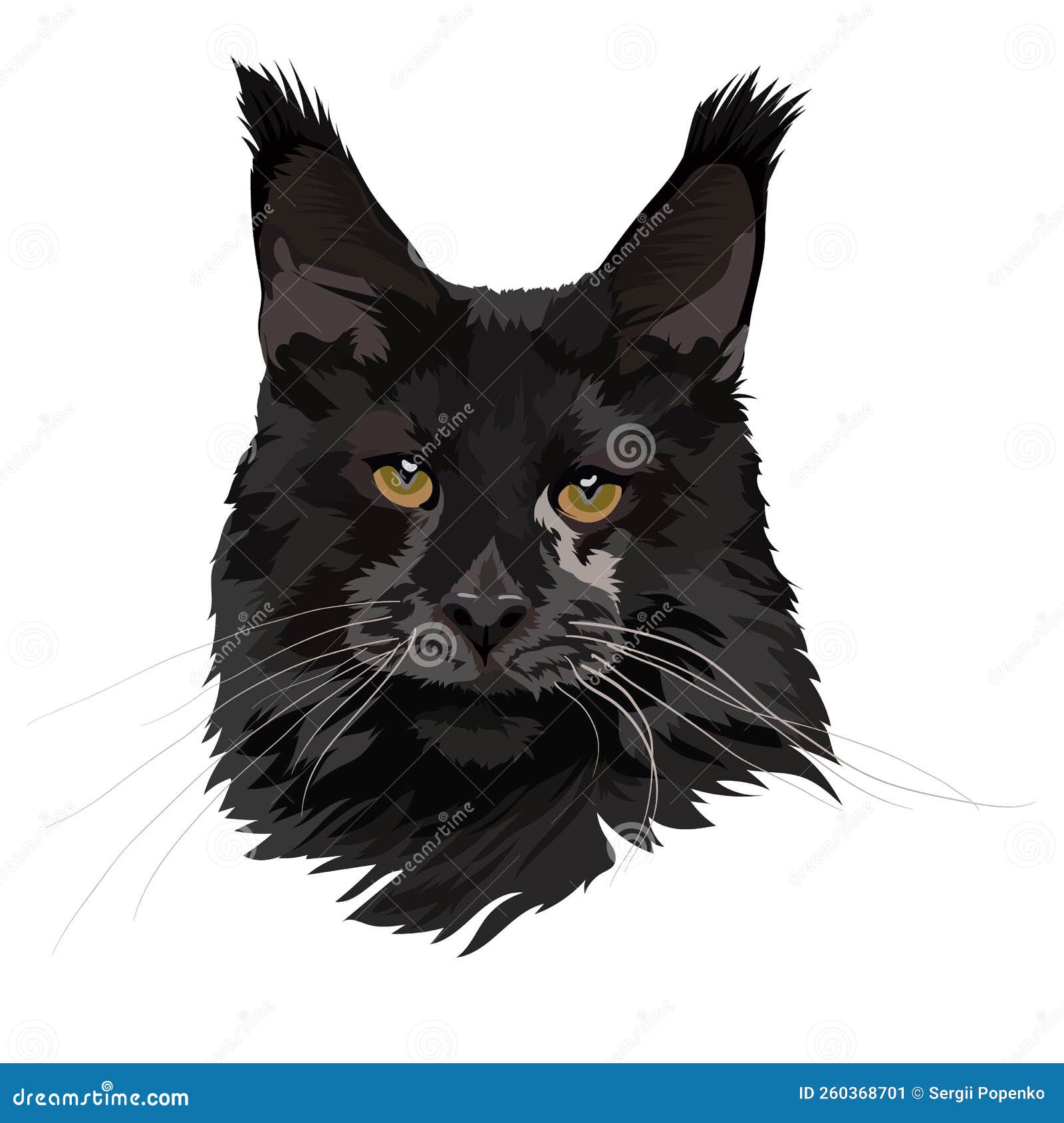 Maine Coon Black Cat. Head Vector Illustration Stock Vector ...