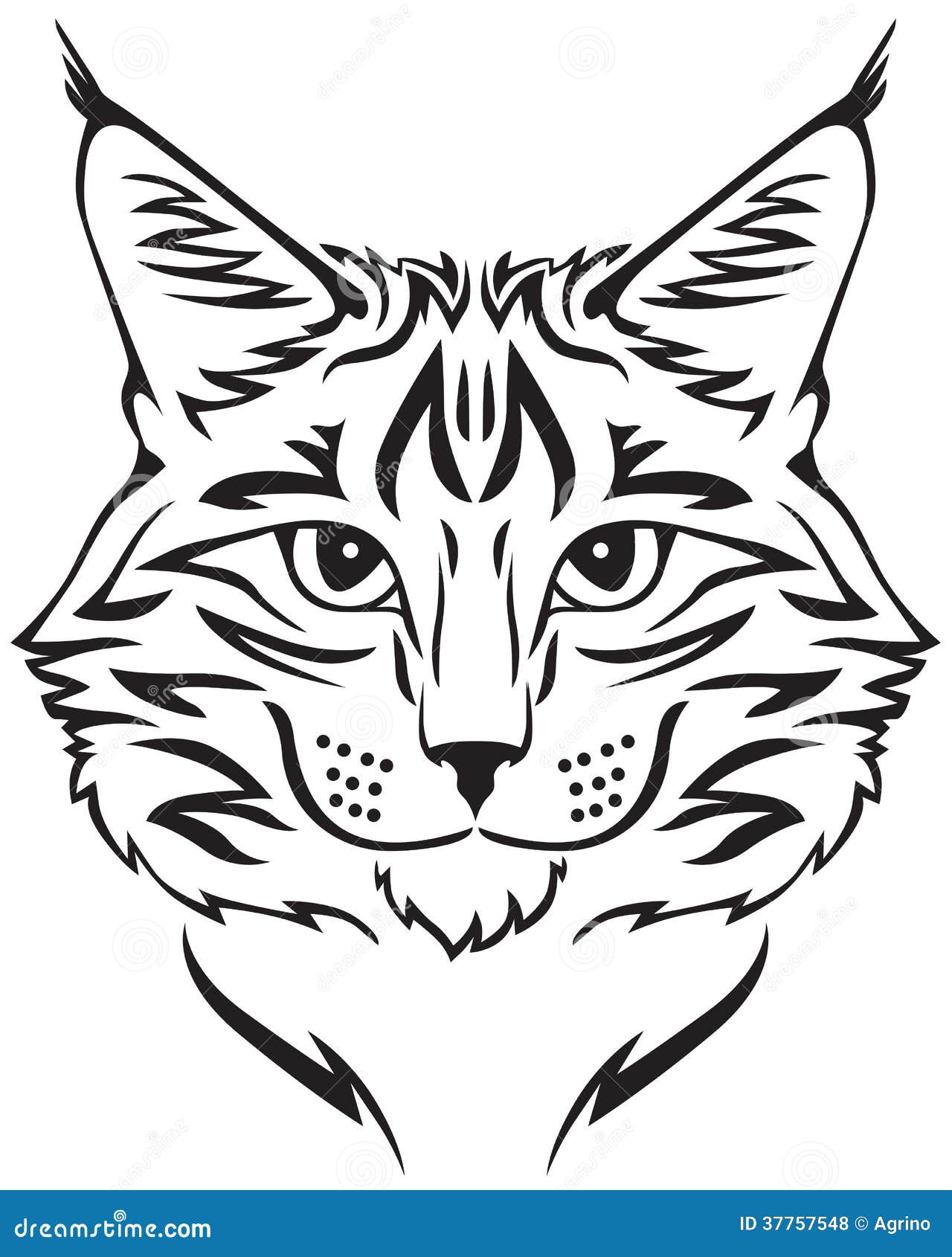 Maine Coon Cat Coloring Page Vector Illustration | CartoonDealer.com ...