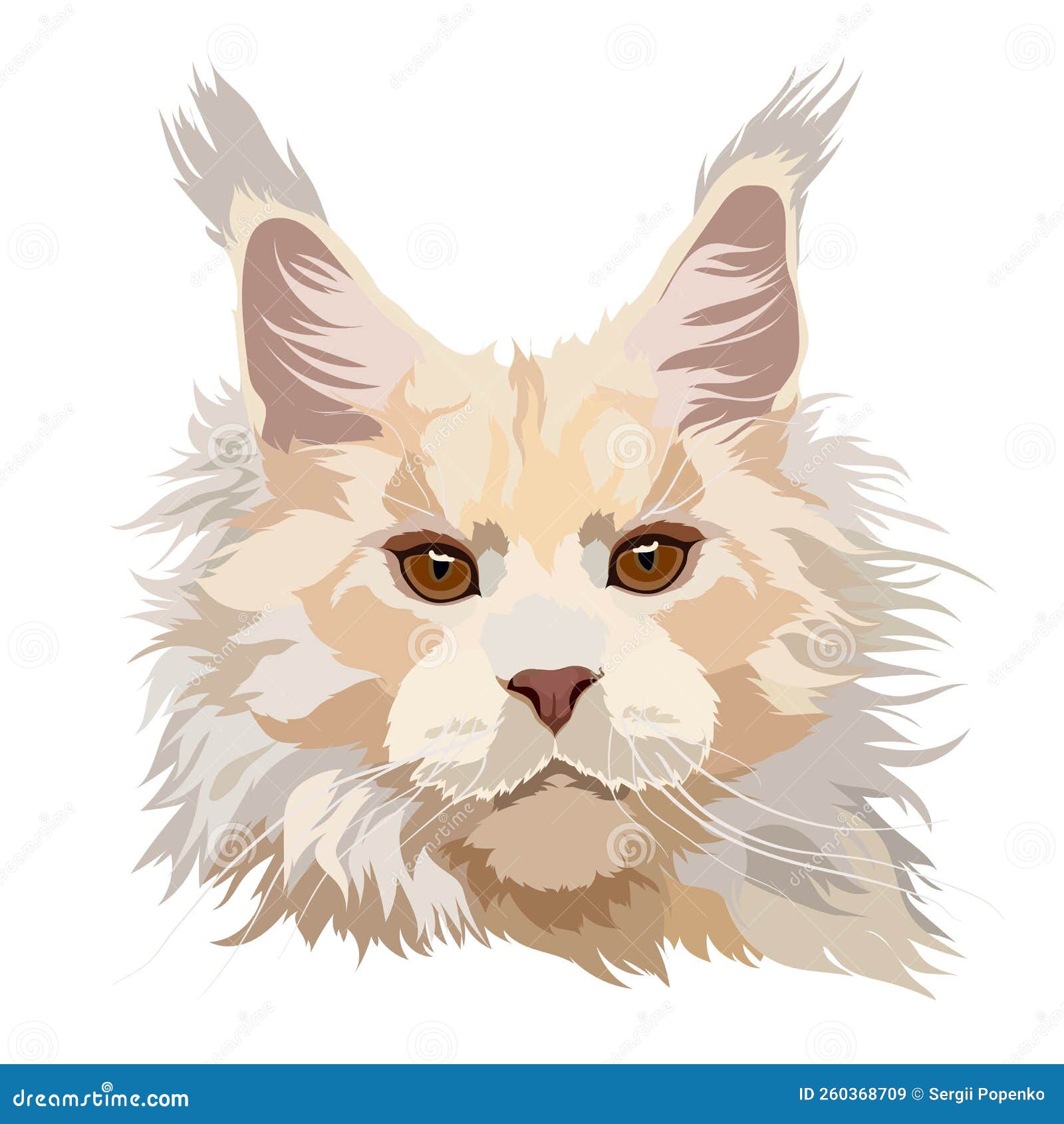 Maine Coon Cat Vector Illustration. Portrait Stock Vector ...