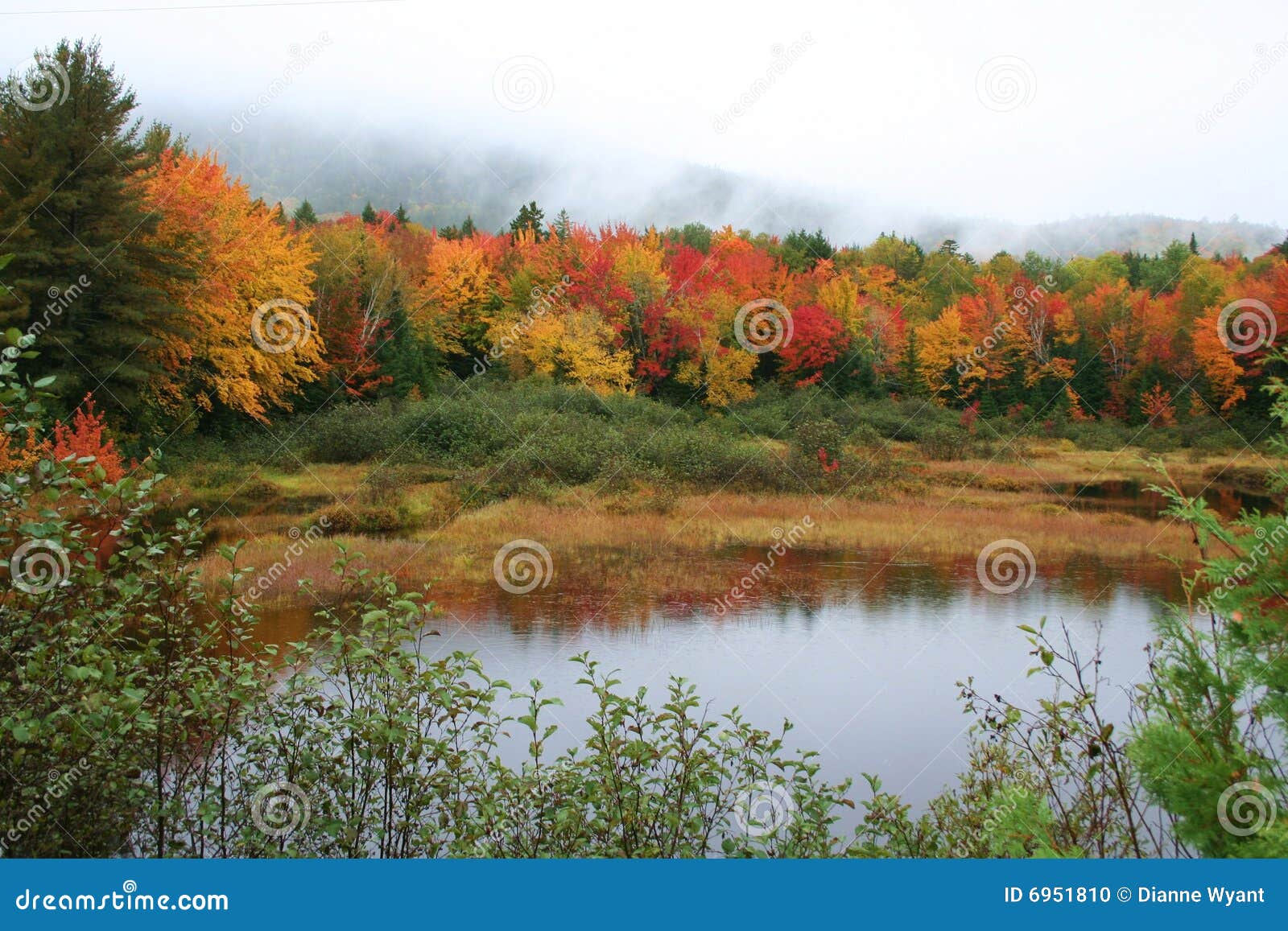 Maine Fall Foliage & Pond Stock Photo - Image of maine, fall: 6951810