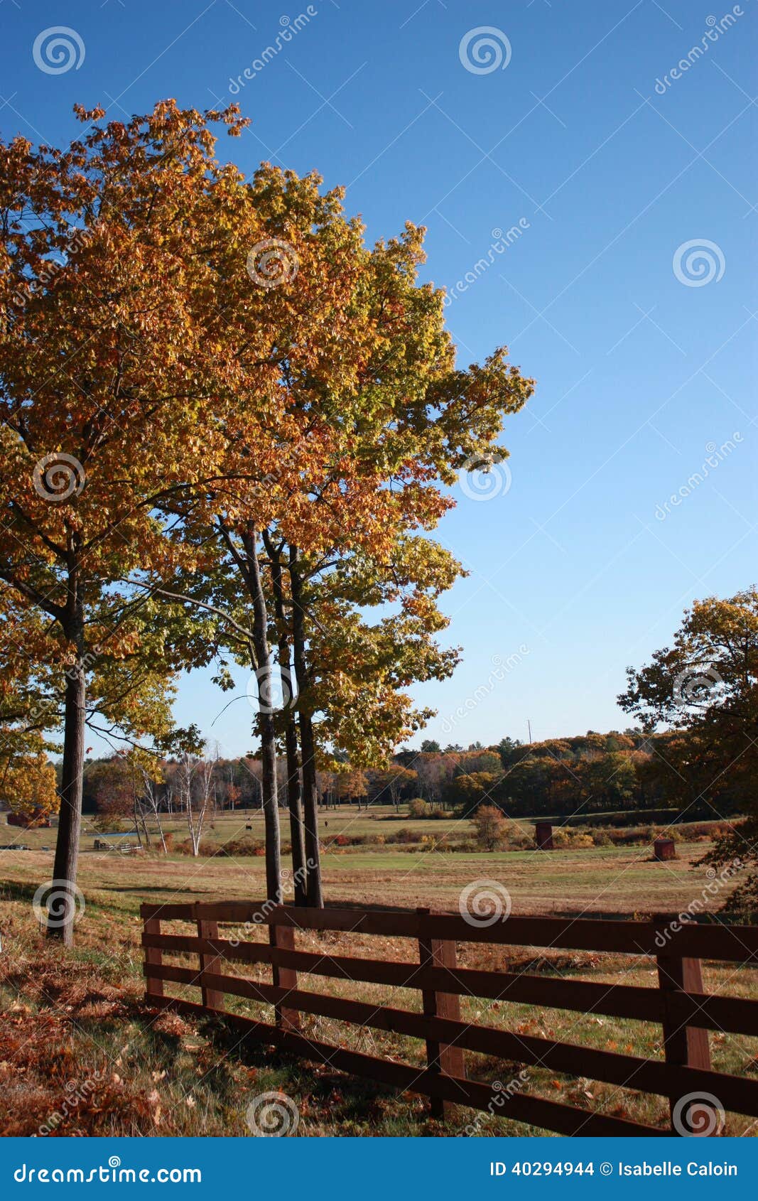 Maine field in fall stock photo. Image of fall, landscape - 40294944