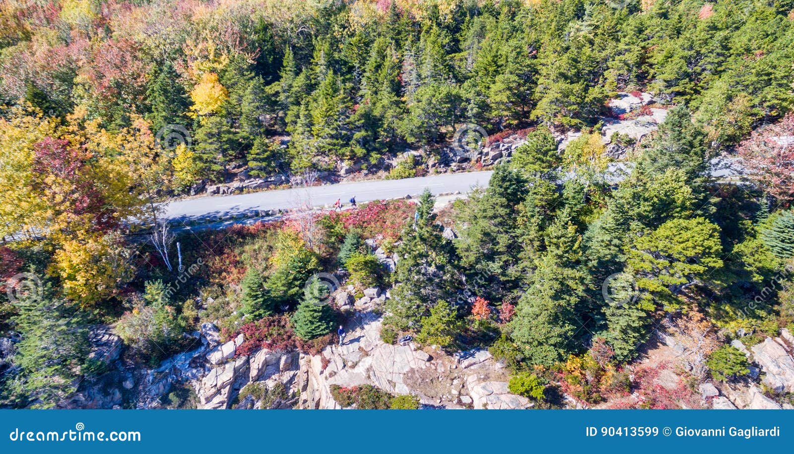 Maine Forest Along the Coast, Aerial View Stock Image - Image of orange ...