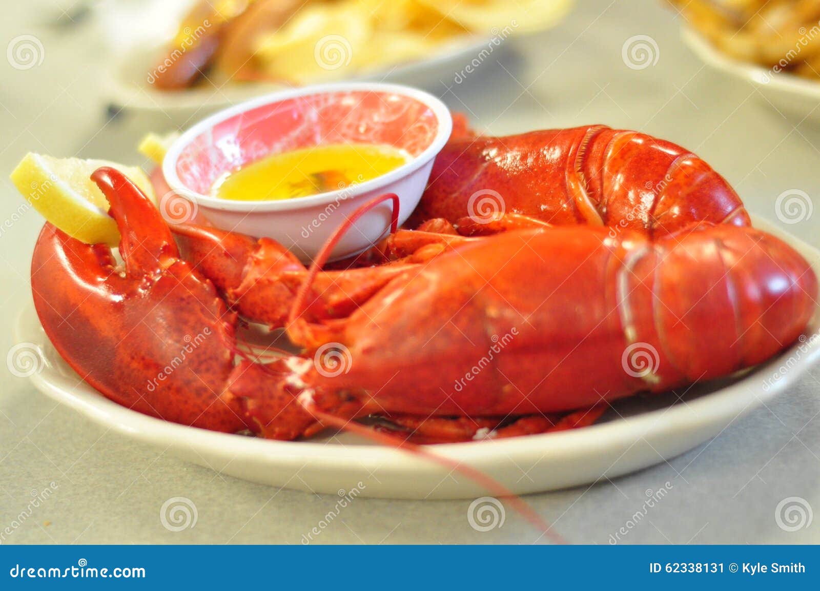 Maine lobster stock image. Image of lobster, fresh, food - 62338131