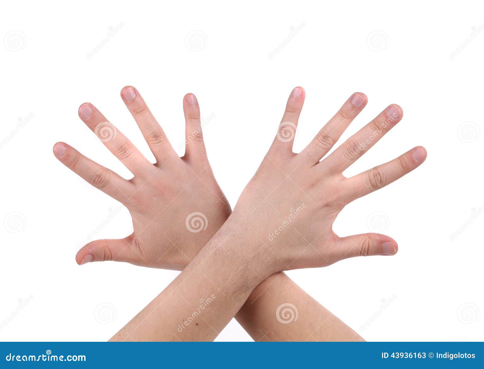 Mains croisées image stock. Image du gesticulation, fermé - 43936163