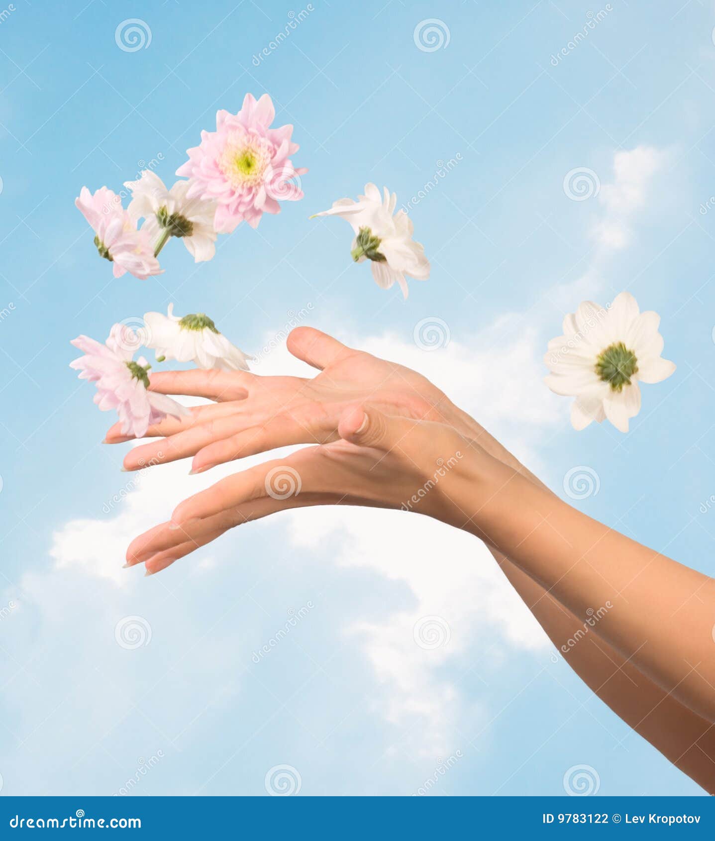 Mains et fleurs de femmes photo stock. Image du blanc - 9783122