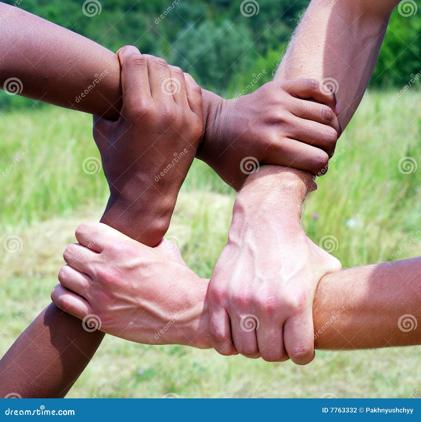 Mains jointes photo stock. Image du tige, organisation - 7763332