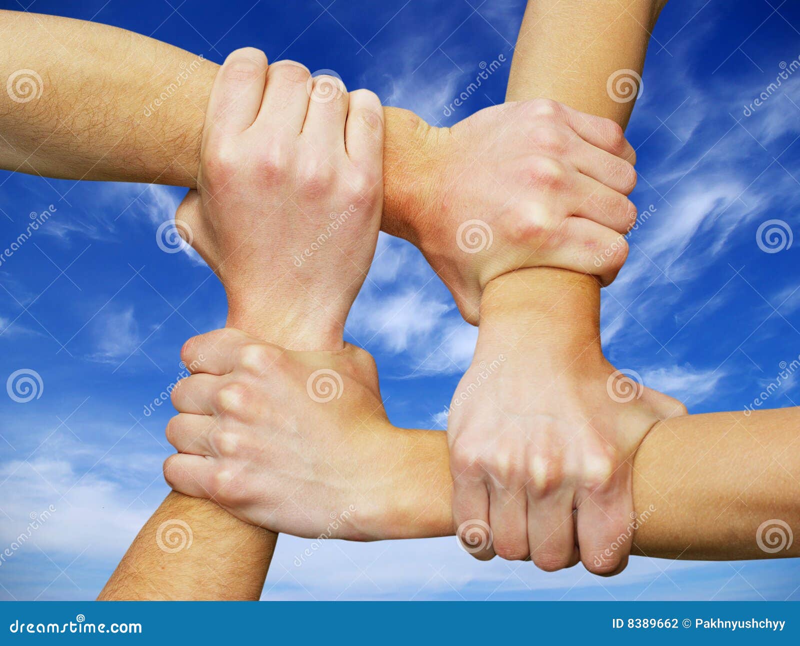 Mains jointes photo stock. Image du branchez, joint, tige - 8389662