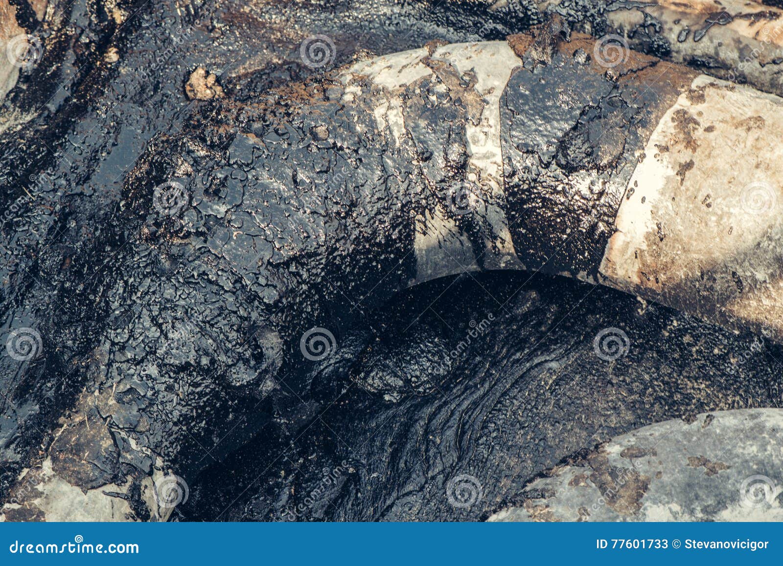 Reconstruction Maintenance Of Pier Boardwalk On Replacement View A ...
