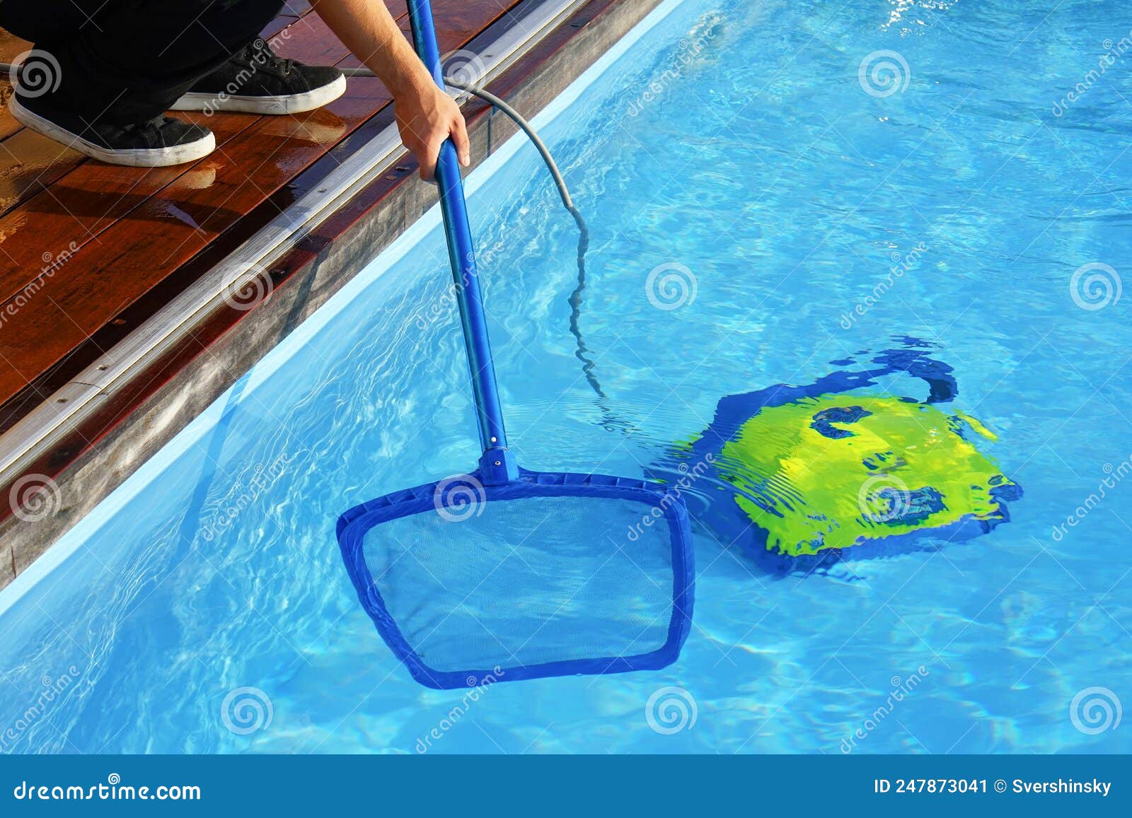 Hotel Staff Man Worker Cleaning the Pool Stock Image - Image of duties ...