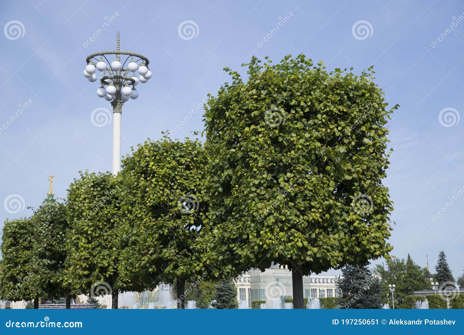 Maintenance of Squares and Parks.Pruning of Trees and Shrubs in the ...