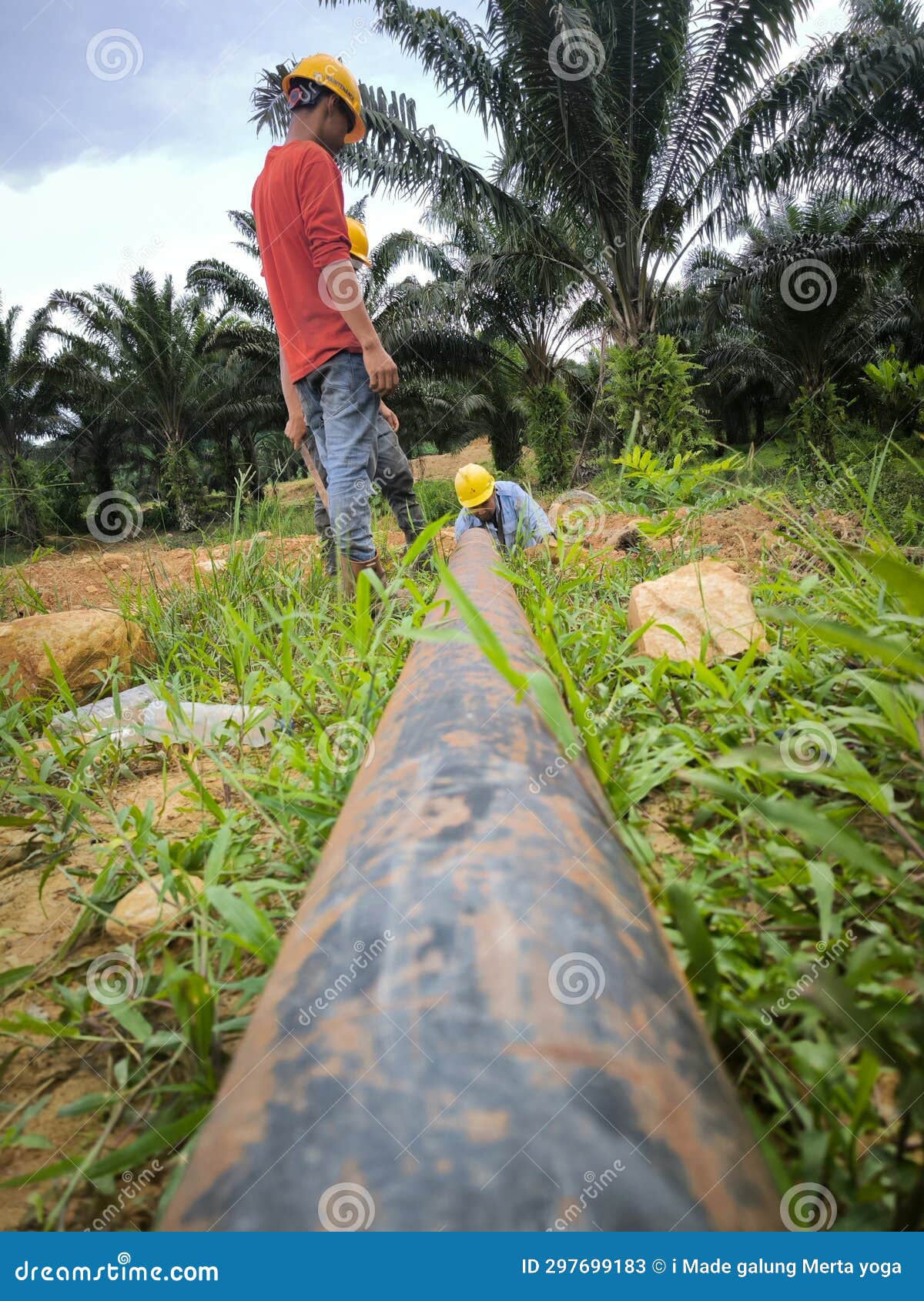 Maintenance Team Get Little Rest Around Palntation Editorial Stock ...