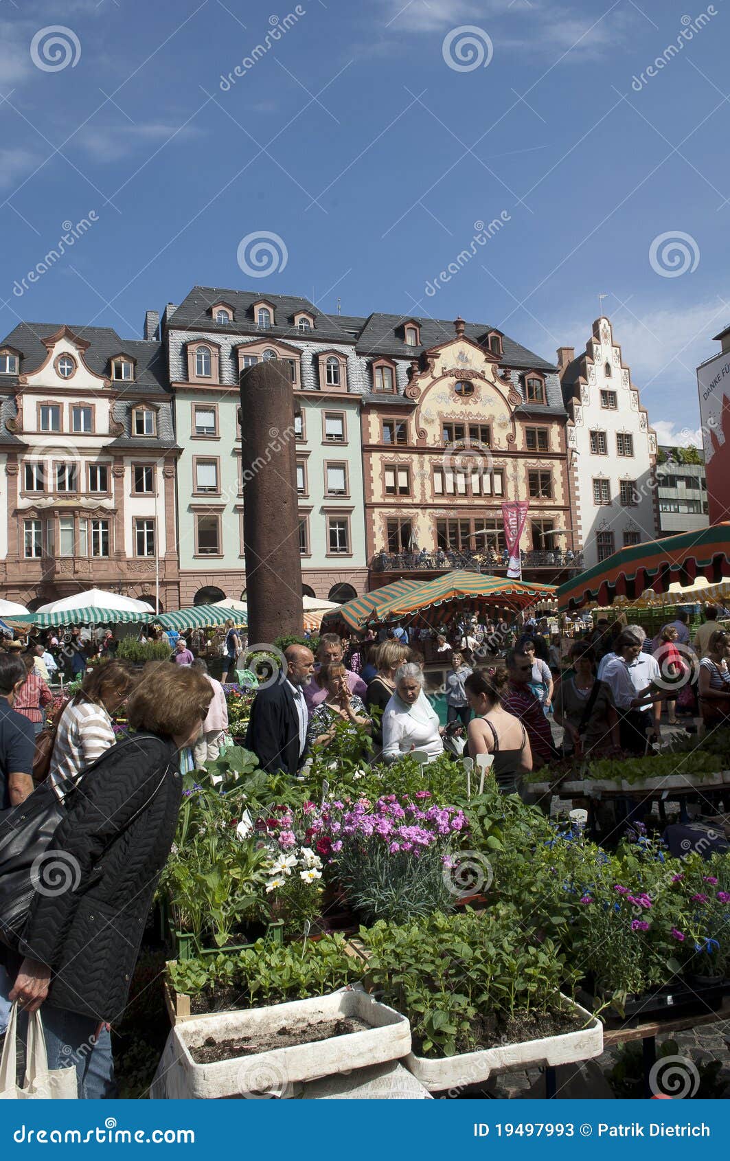 MAINZ, GERMANY Farmer Market Editorial Stock Photo - Image of sale ...