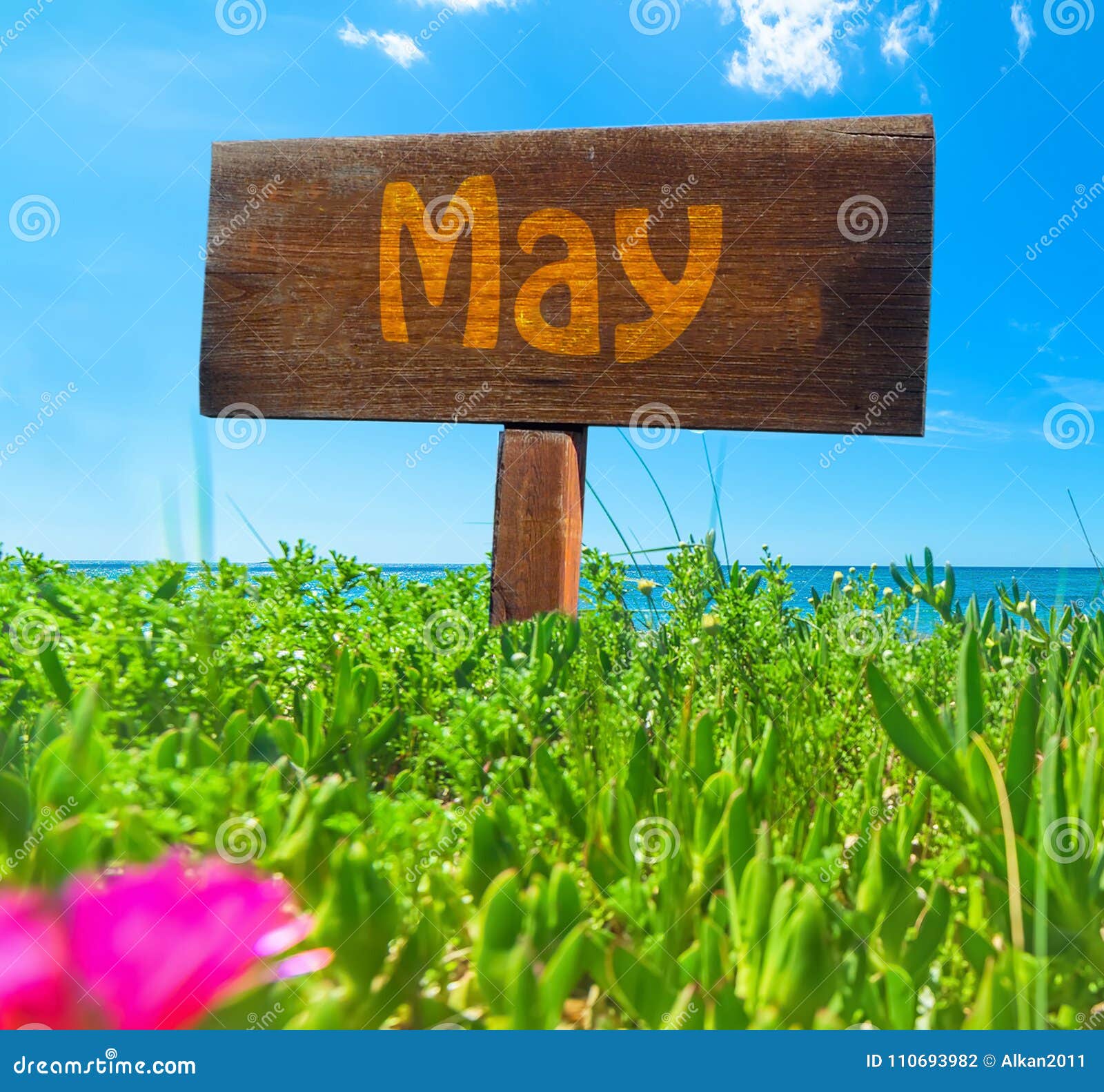 Maio Escrito Em Um Sinal De Madeira Em Um Campo Verde Foto de Stock ...