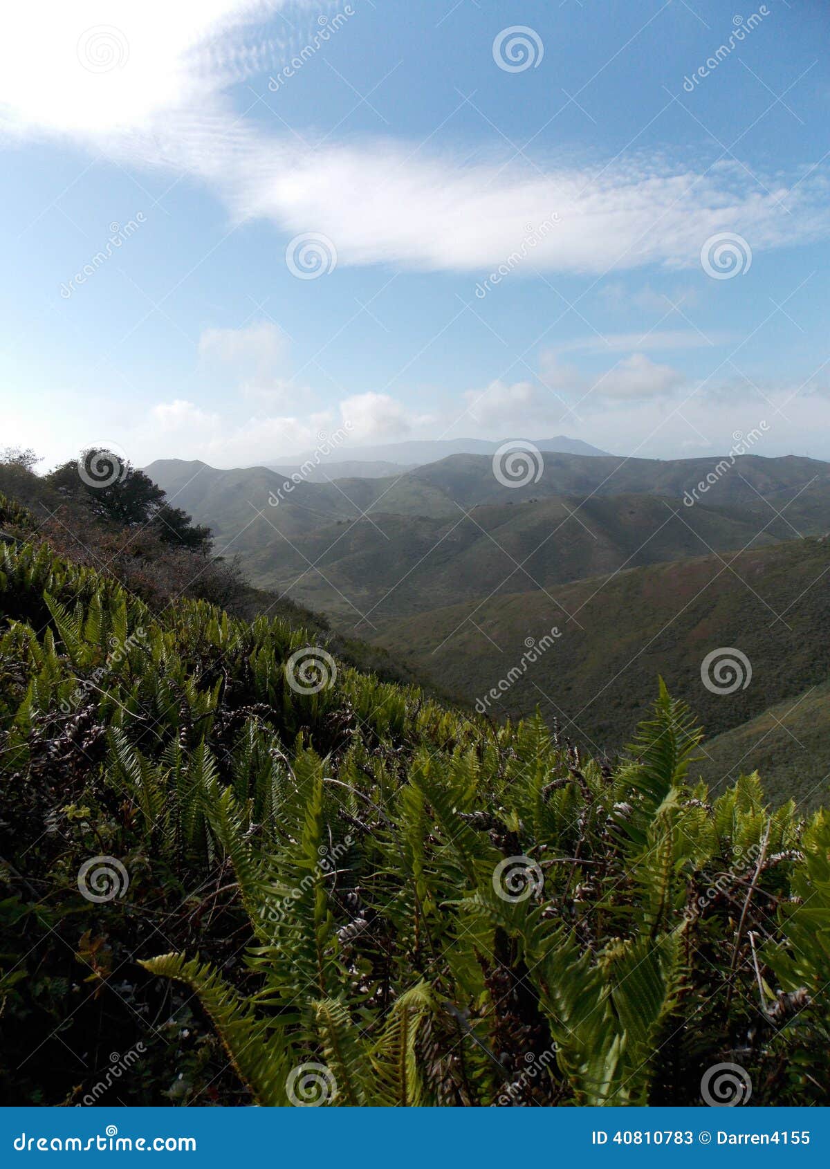 Mairn Headlands stock image. Image of northern, shore - 40810783