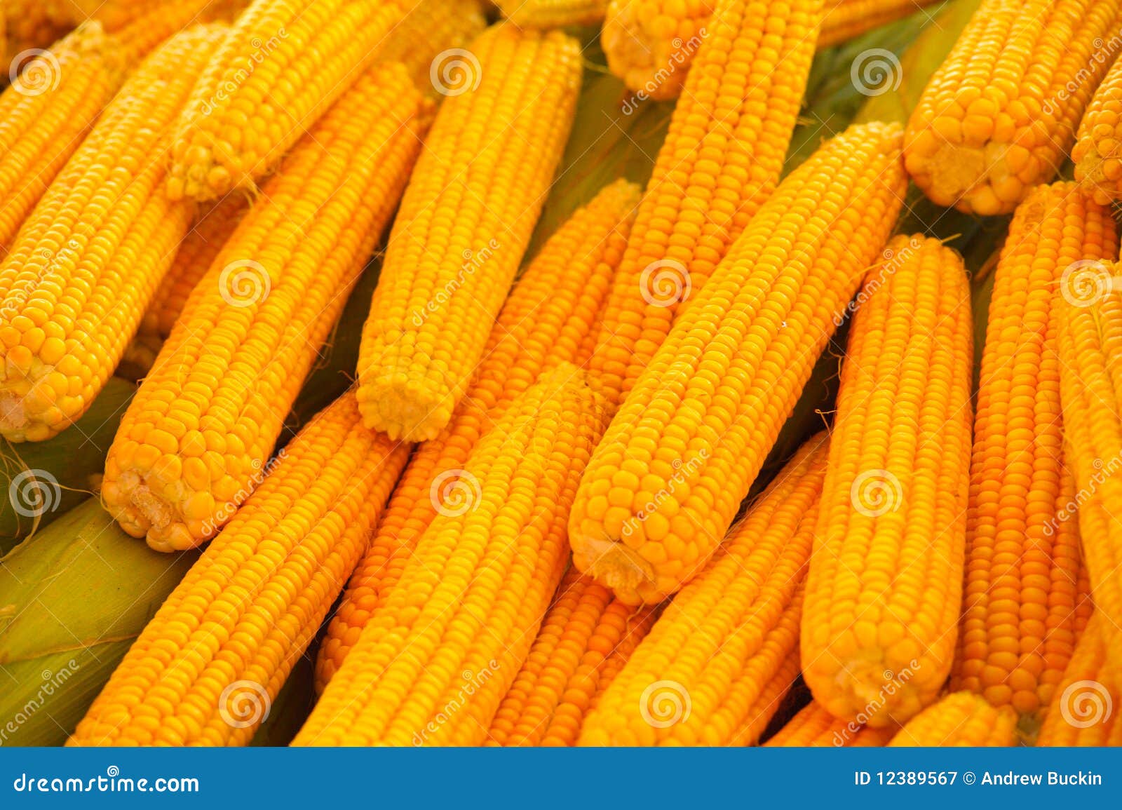 Mais stockbild. Bild von essen, basar, ernährung, bestandteil - 12389567