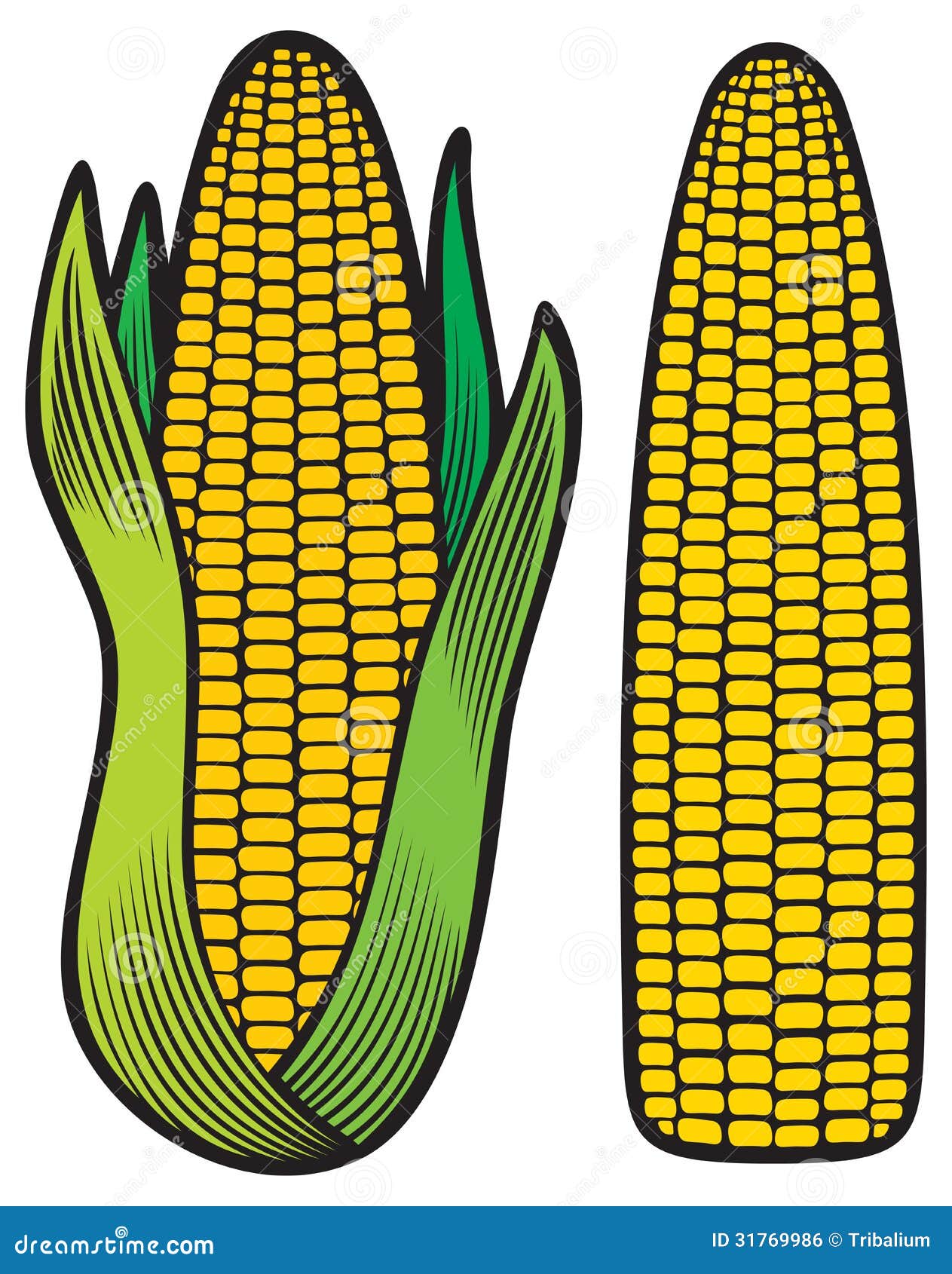 Mais vektor abbildung. Illustration von auslegung, getreide - 31769986