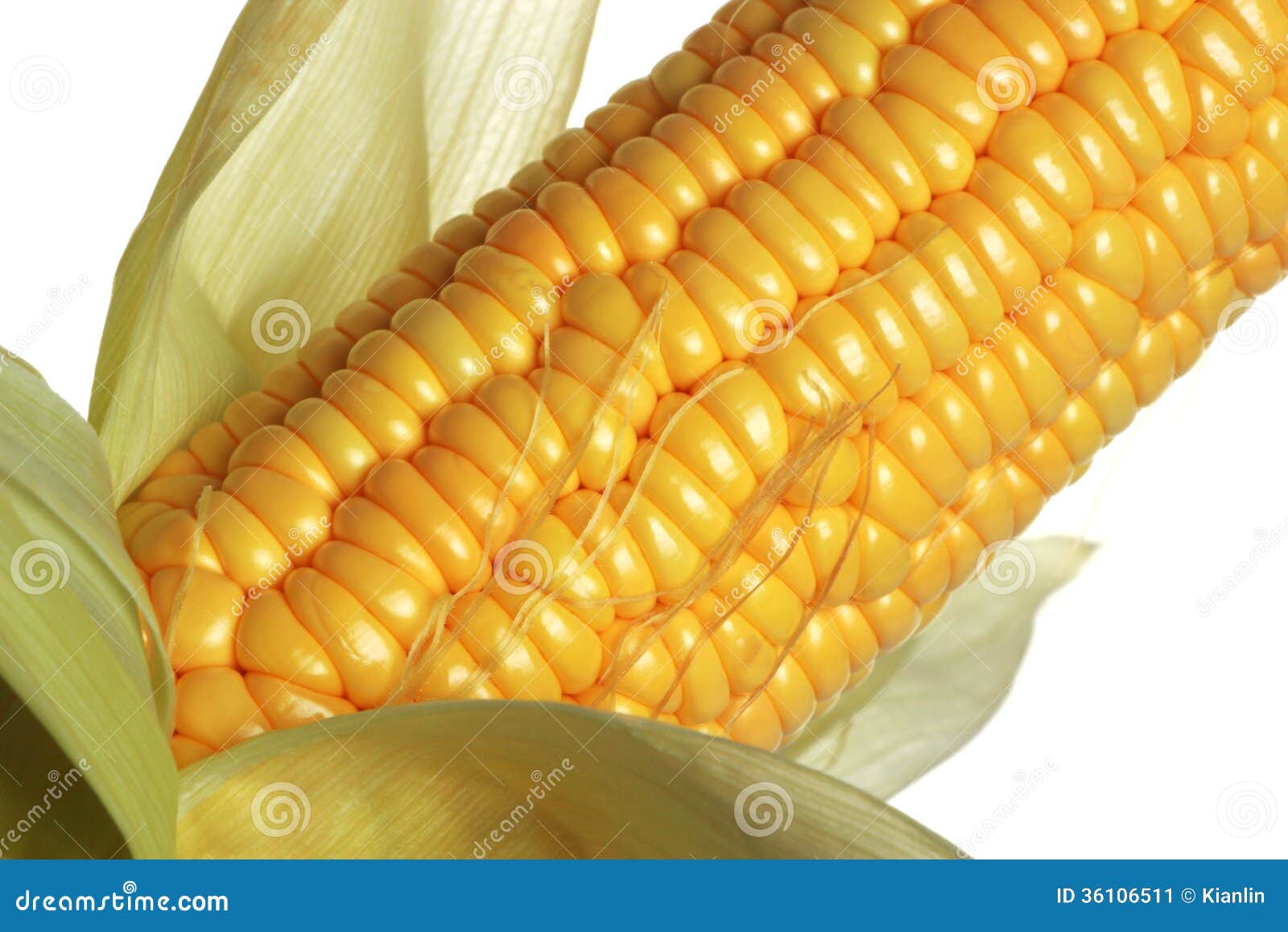 Mais stockbild. Bild von mais, frisch, sonderkommando - 36106511