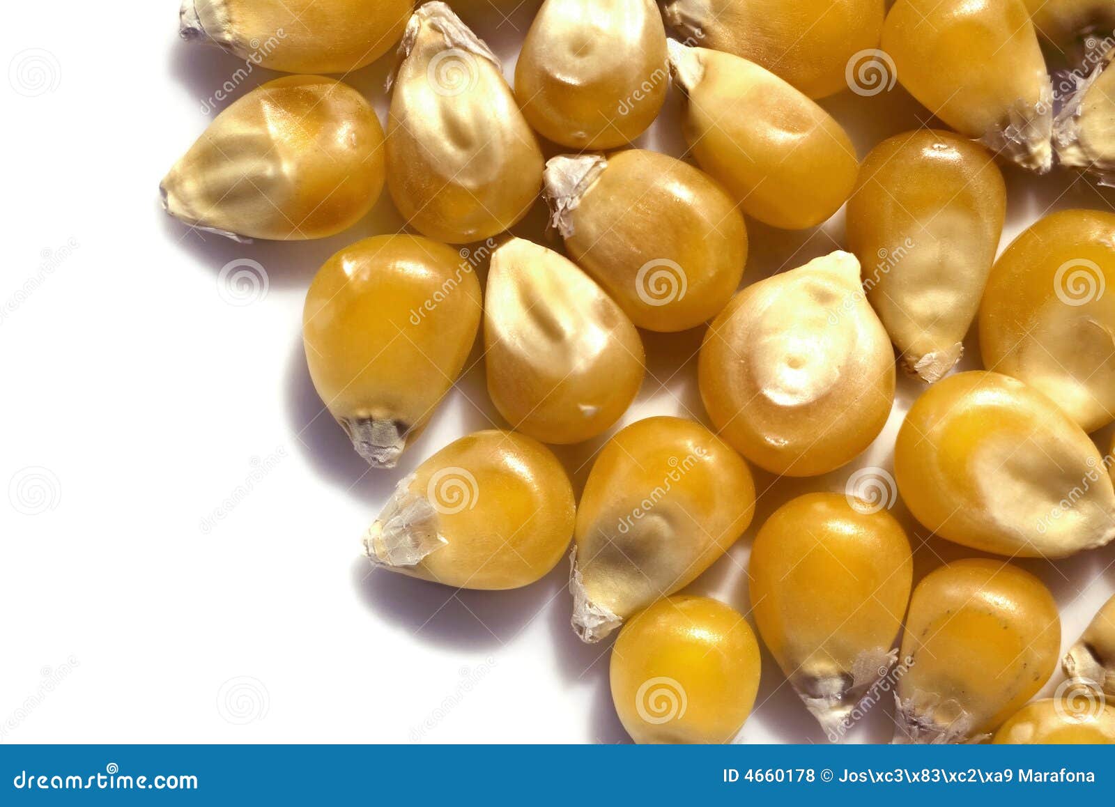 Mais Stock Photos - Download 2,921 Royalty Free Photos