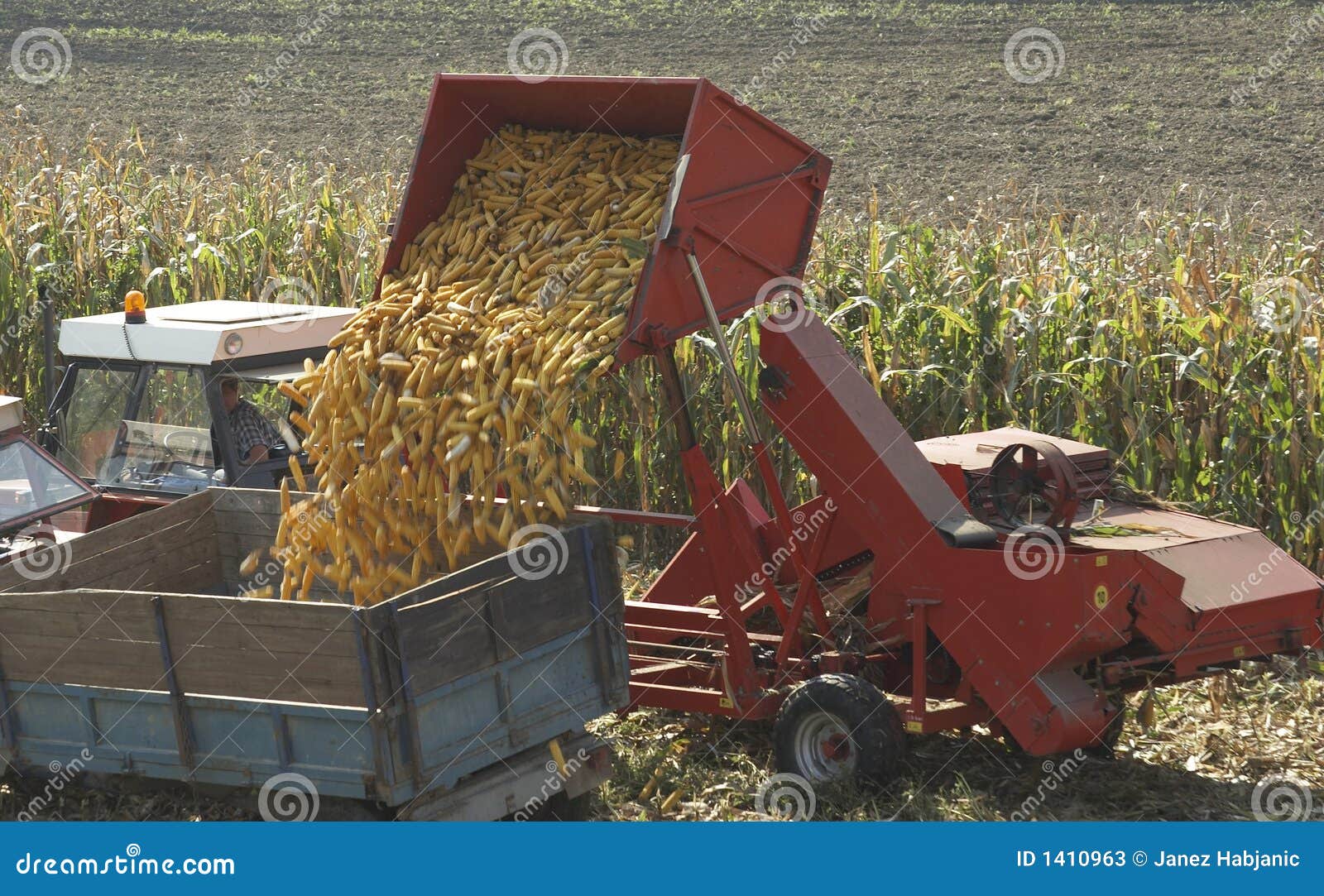 Mais-Erntemaschine Stockfotos - Bild: 1410963