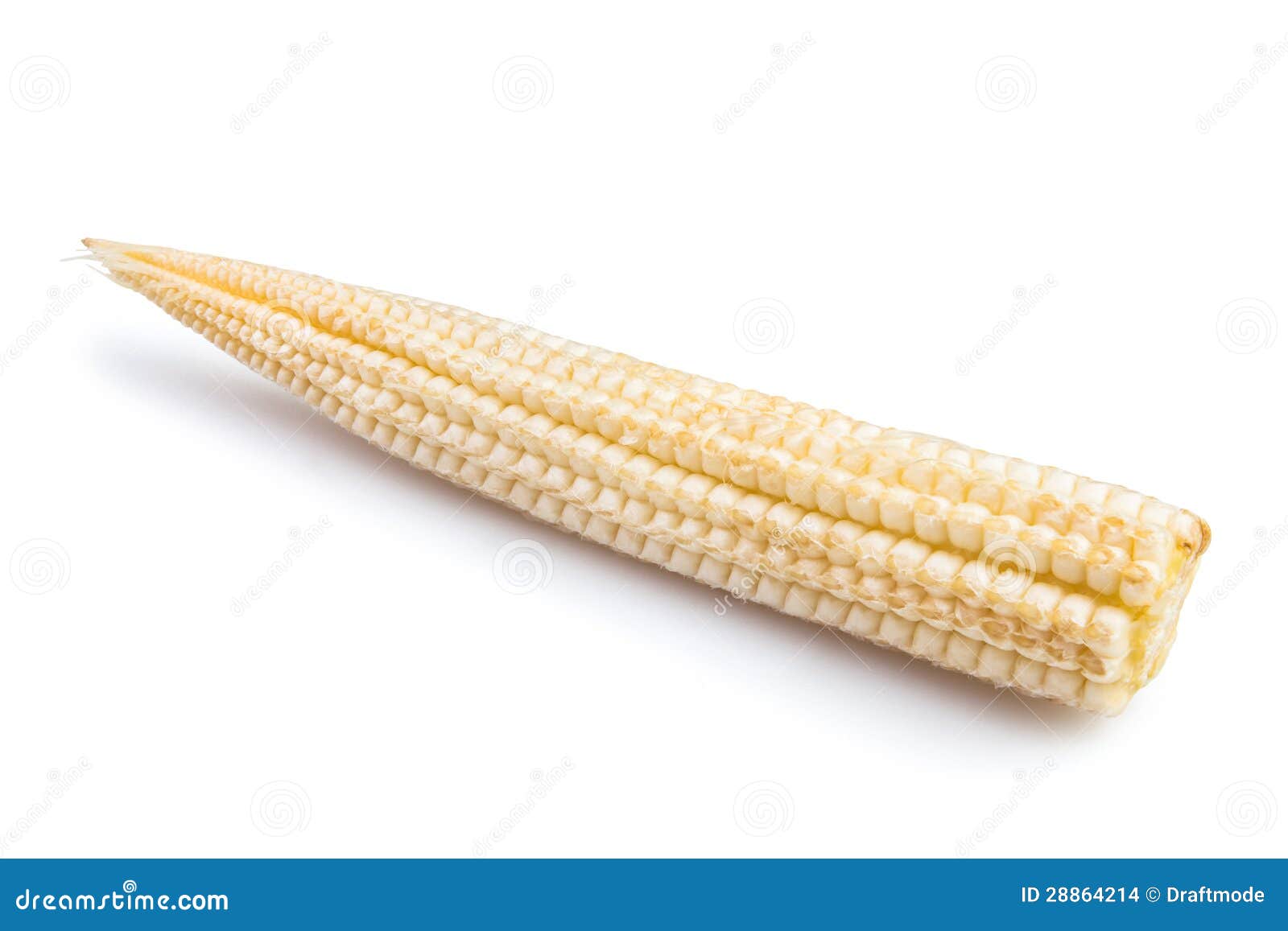 Mais Mini stockfoto. Bild von bestandteil, gemüse, ungekocht - 28864214