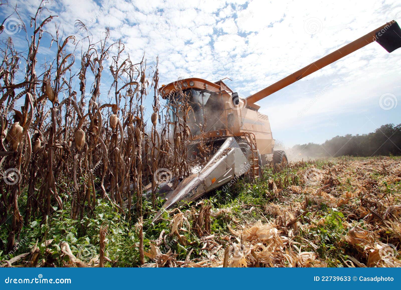 Maisernte stockbild. Bild von mähdrescher, brasilien - 22739633