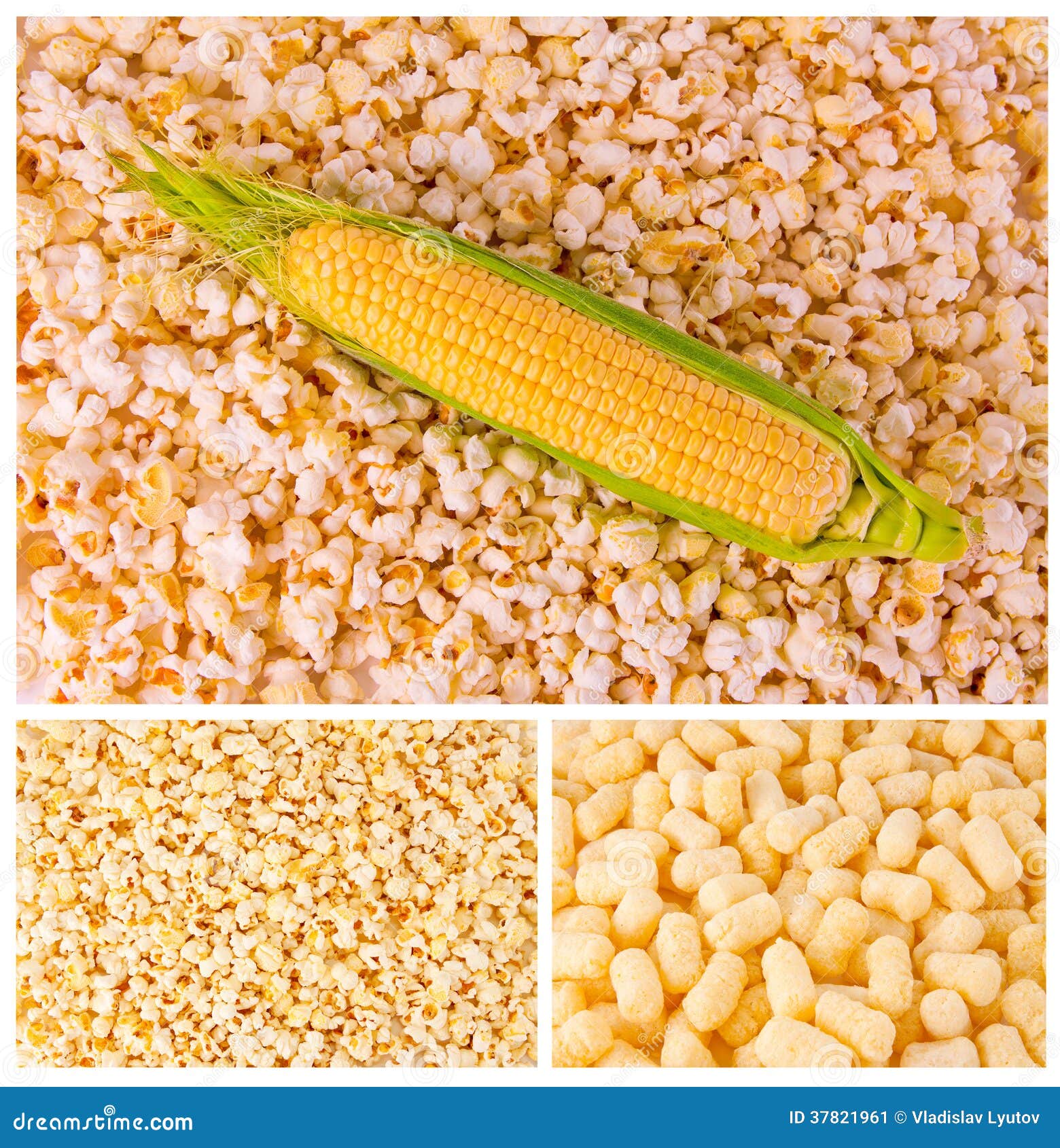 Maisprodukte stockbild. Bild von erzeugnis, energie, feinschmecker ...