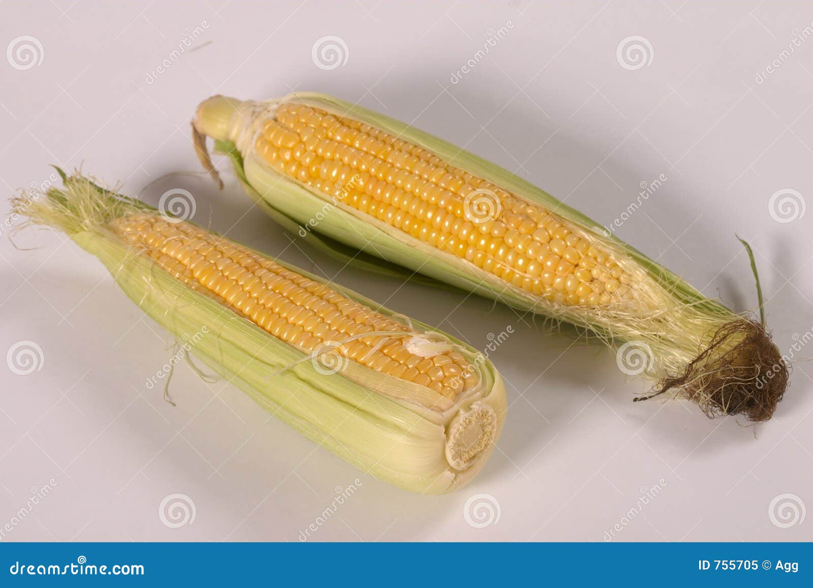 Maiz stock image. Image of fresh, healthy, corn, ingredient - 755705