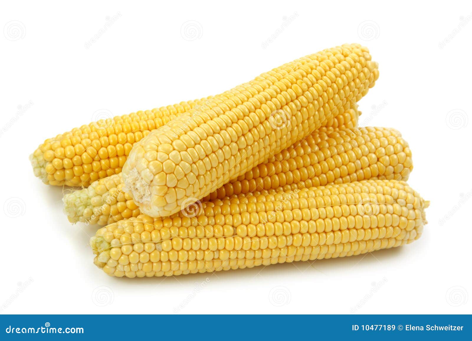 Maize stock image. Image of grains, isolated, pile, healthy - 10477189