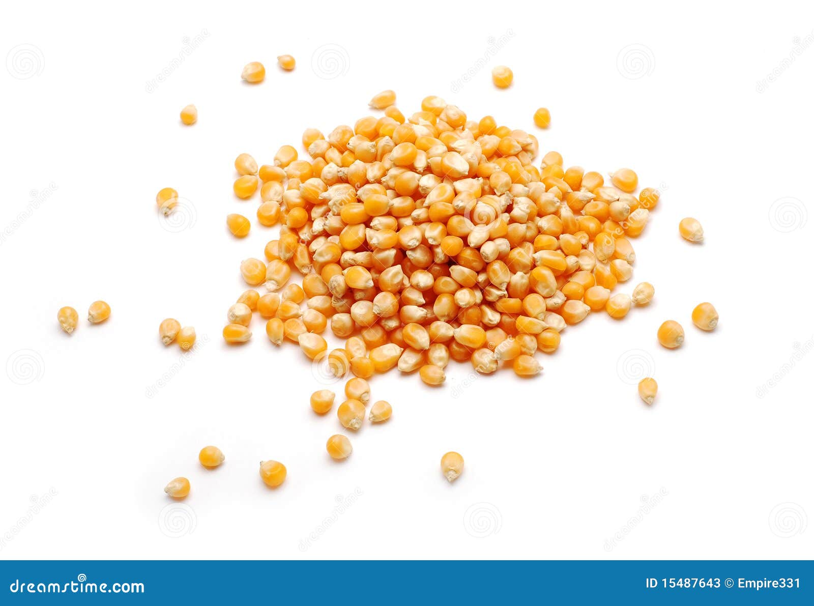 Maize stock image. Image of organic, corn, kernel, ingredient - 15487643
