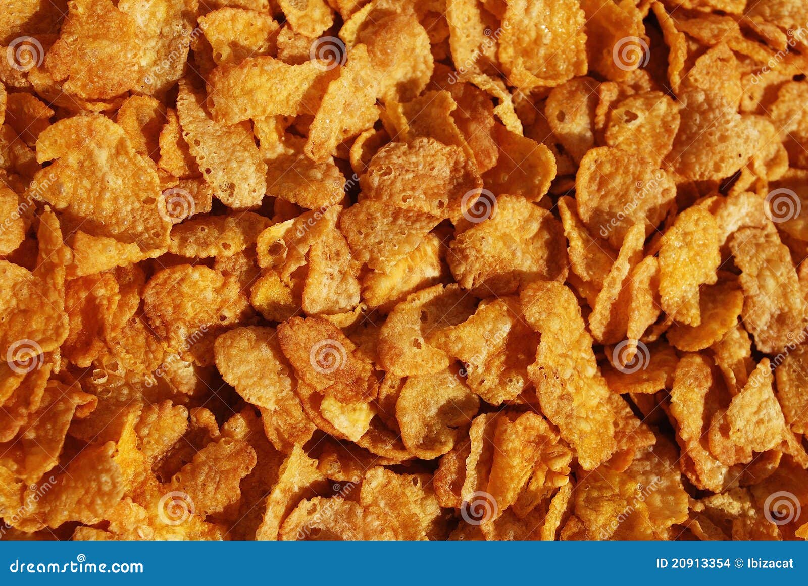 Maize stock photo. Image of flakes, vitamin, corn, cereals - 20913354