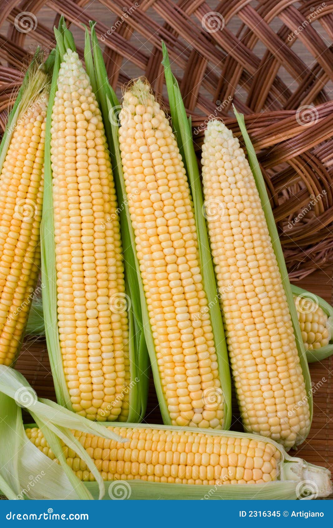 Maize stock image. Image of food, natural, corn, stuff - 2316345