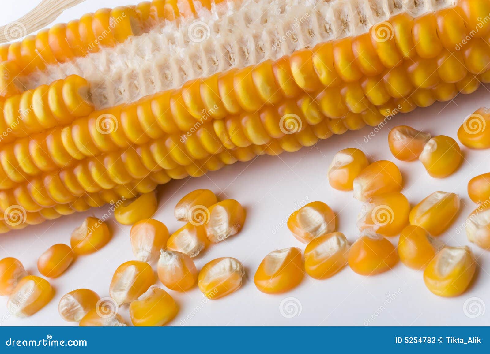 Maize stock image. Image of feed, ingredient, maize, diet - 5254783