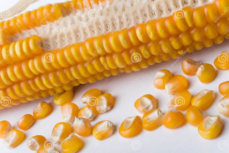 Maize stock image. Image of feed, ingredient, maize, diet - 5254783